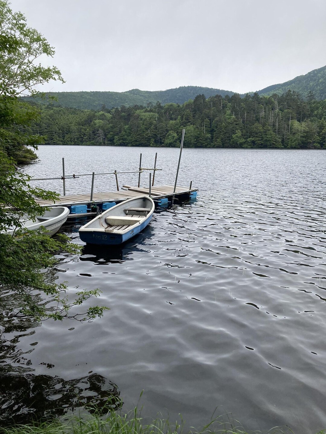 白駒池散策 詳しくはコチラ ↓↓↓ ht... / コスモス畑さんのモーメント | YAMAP / ヤマップ