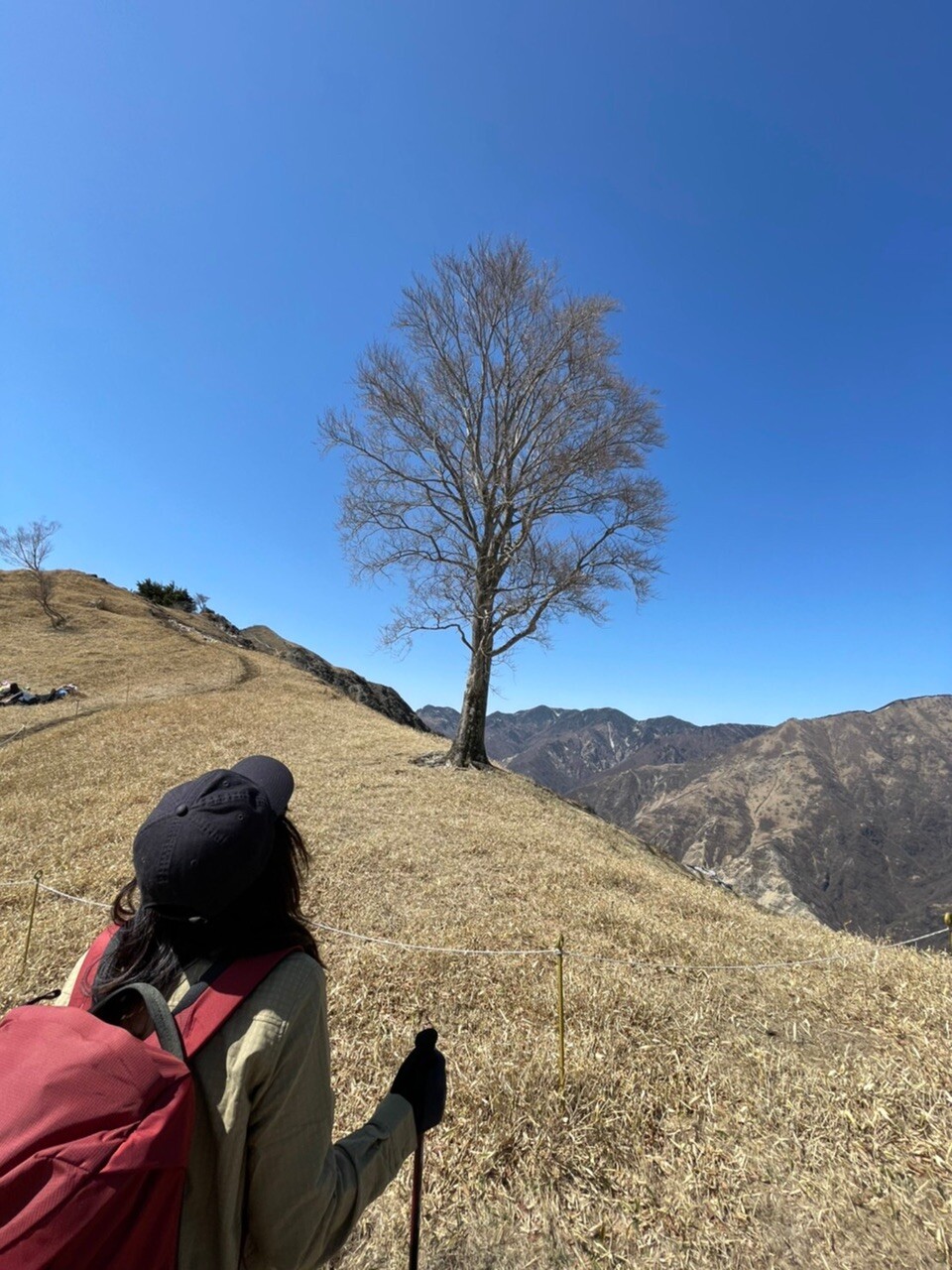 aomoriのページ | YAMAP / ヤマップ