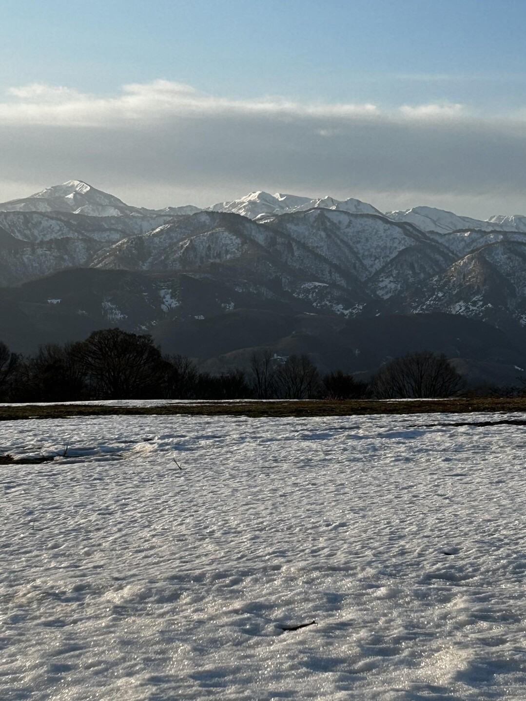 春陽うららかな日曜日 故人を偲ぶ、穏やか... / mineさんのモーメント | YAMAP / ヤマップ