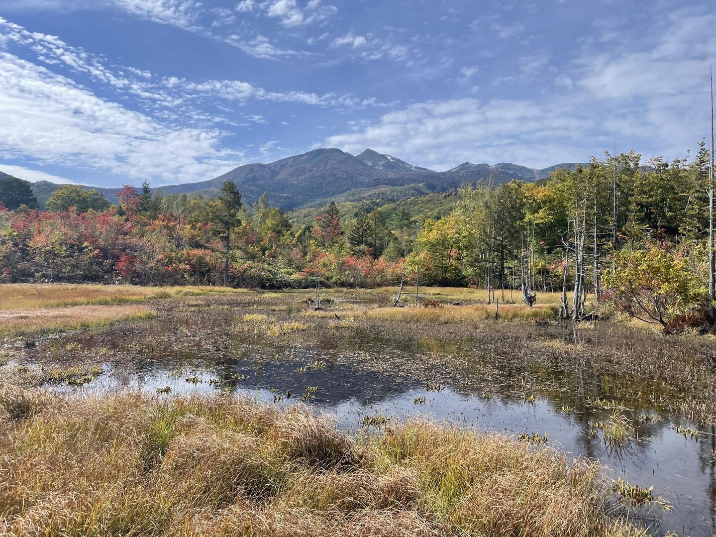 乗鞍高原 / いちご肉さんのハイキングの活動データ | YAMAP / ヤマップ