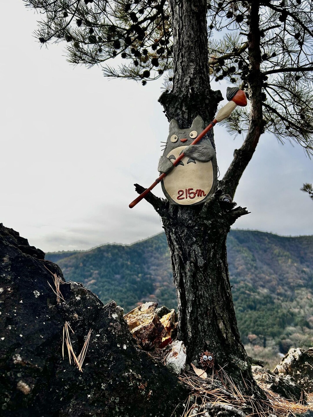 各務原権現山・芥見権現山・どんぐり山・槍どんぐり山・北山 / Machiko. Yさんの各務原アルプス（関南アルプス）・八木三山の活動データ | YAMAP / ヤマップ