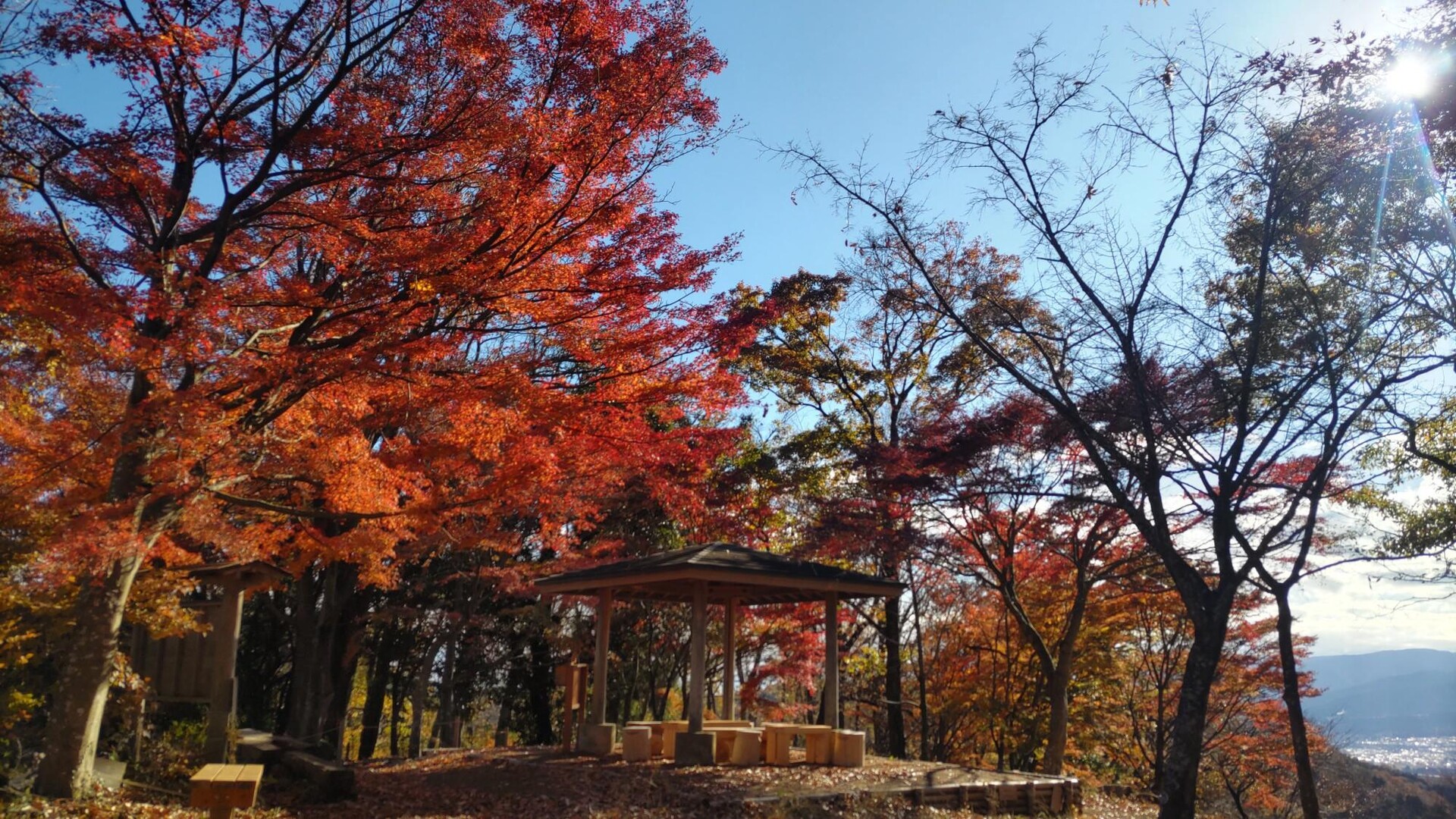 推しを眺めてたいを焼く 大好きな丹沢の... / nanaさんのモーメント | YAMAP / ヤマップ