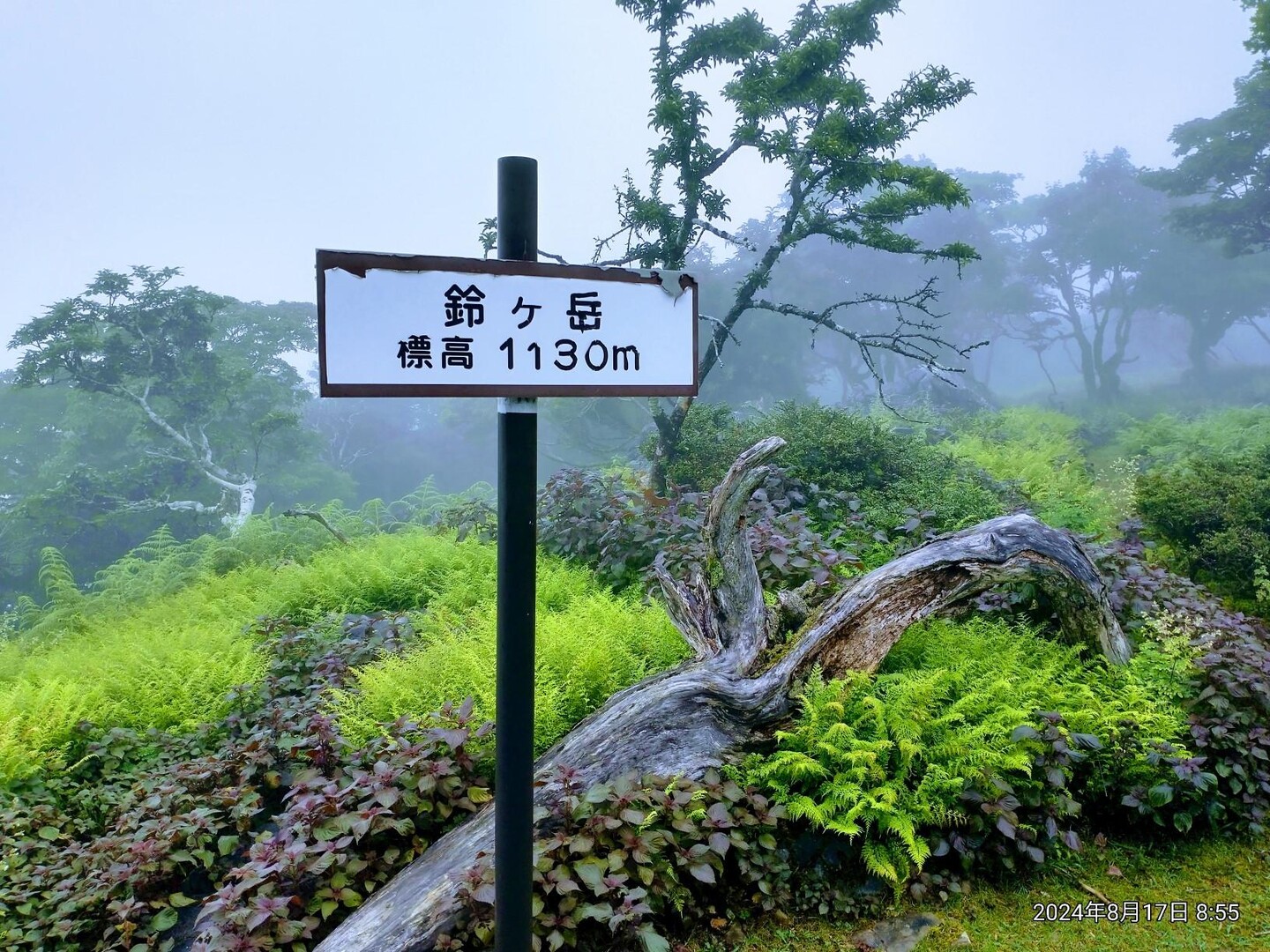 滋賀県犬神郡、鈴北岳・鈴ヶ岳 / ziziモトさんの天狗堂の活動データ | YAMAP / ヤマップ