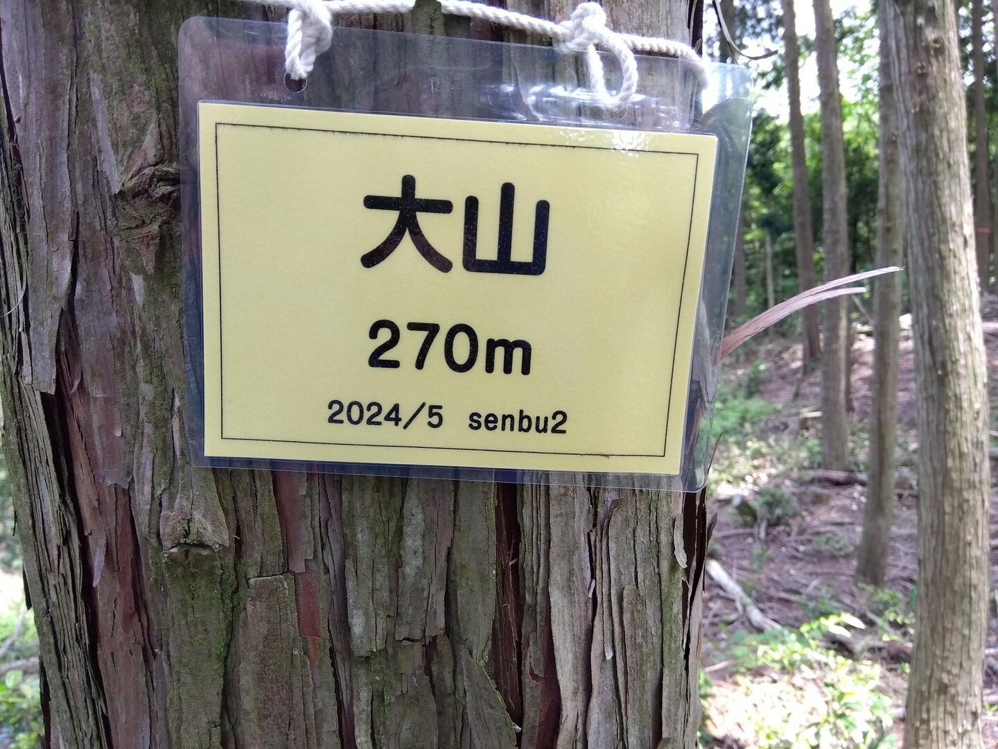 大山 赤村 / senbu2(センブツ)さんの戸城山の活動データ | YAMAP / ヤマップ