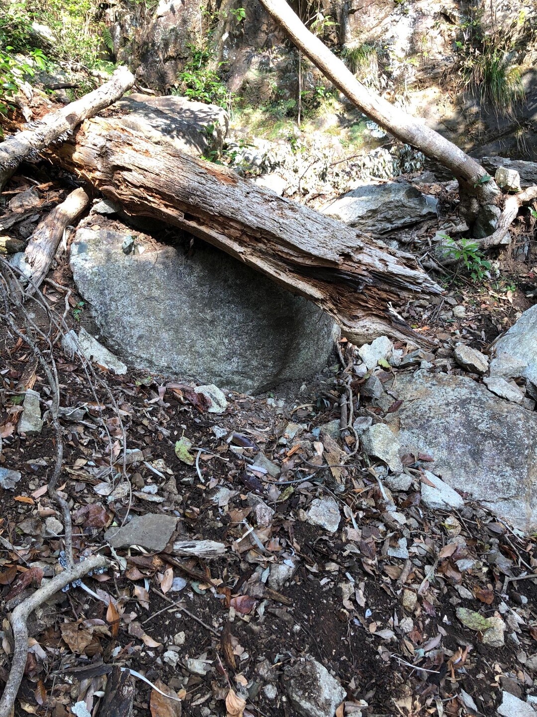 Oh!Gmenさんの投稿したフィールドメモ | YAMAP / ヤマップ