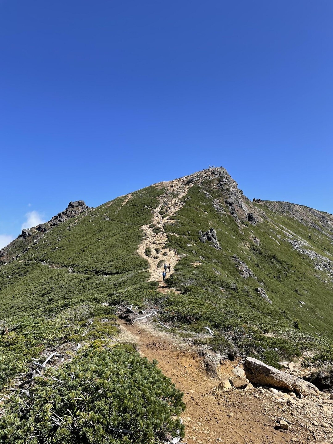 西天狗岳・東天狗岳 / みきさんの八ヶ岳（赤岳・硫黄岳・天狗岳）の活動データ | YAMAP / ヤマップ