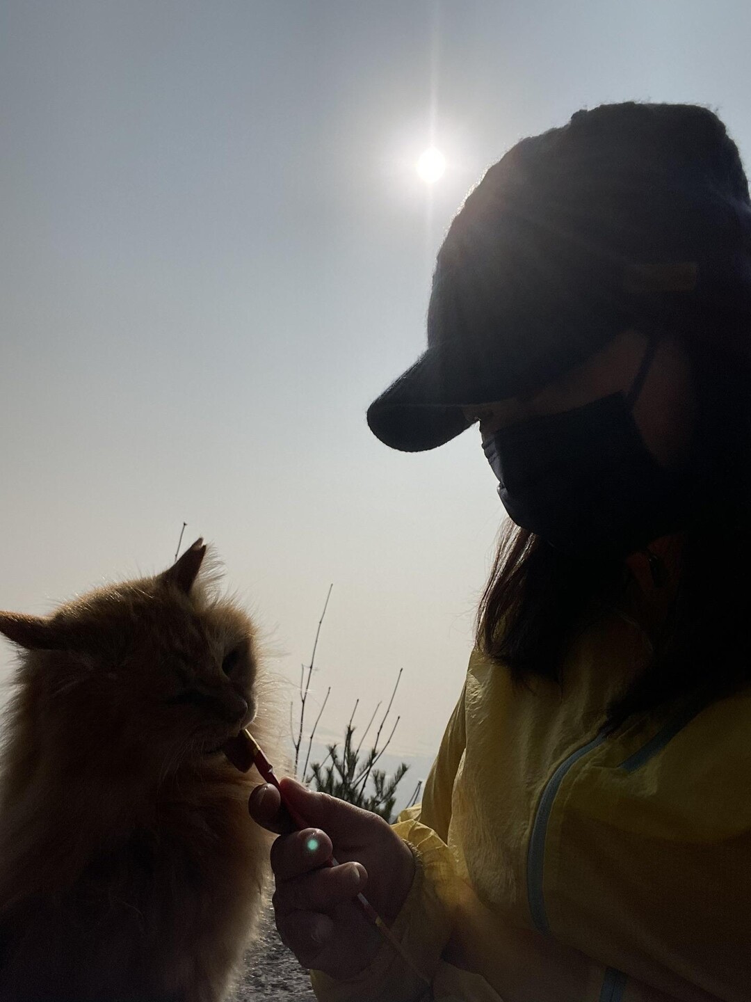 2023.1.9（月）成人の日 あれれ ... / りさんのモーメント | YAMAP / ヤマップ