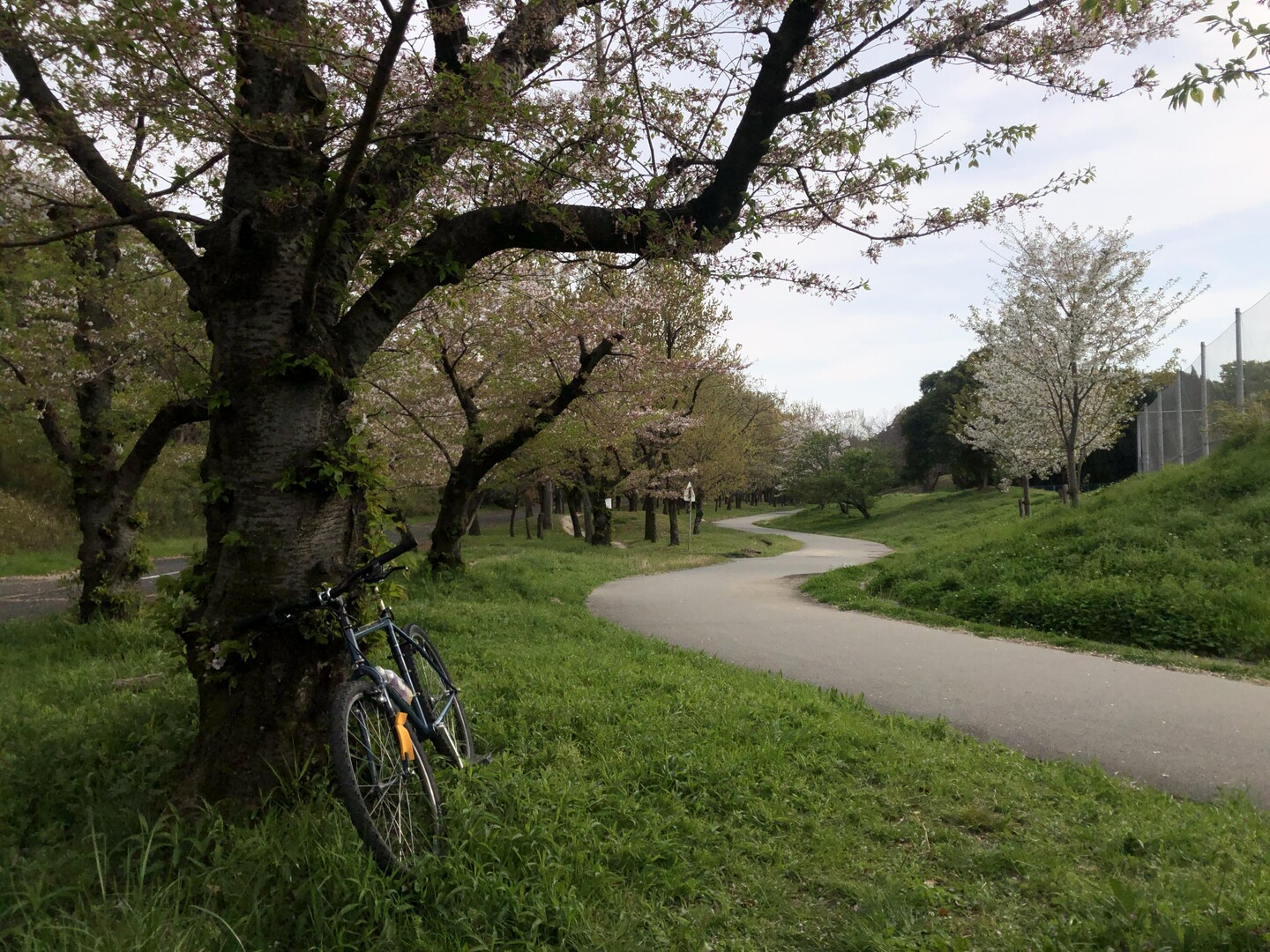 banpaku チャリトレ。。。。。 ... / ryoさんのモーメント | YAMAP / ヤマップ