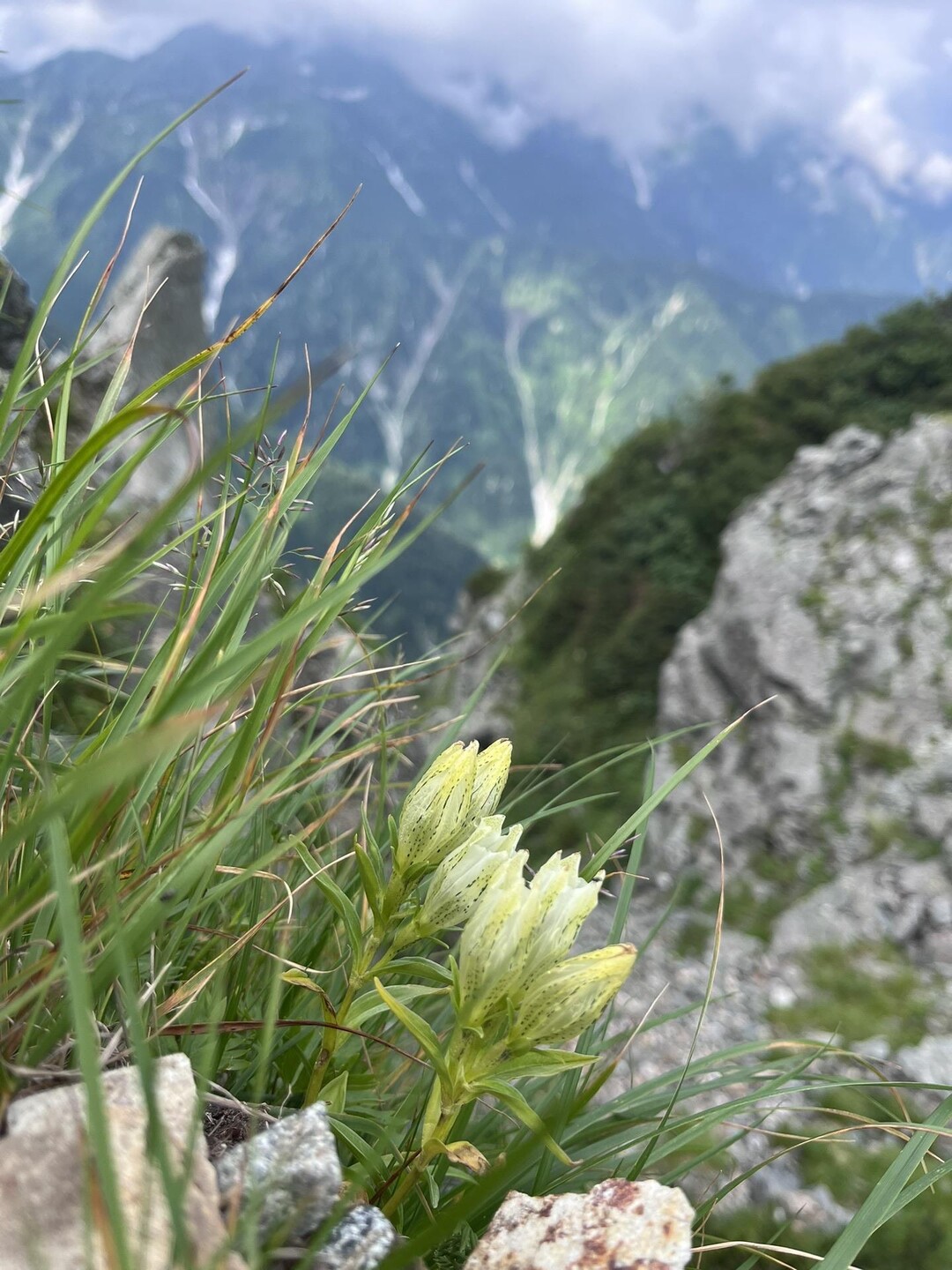 8月の剱岳〜早月尾根は暑かった💦 / mierinさんの立山・雄山・浄土山の活動データ | YAMAP / ヤマップ