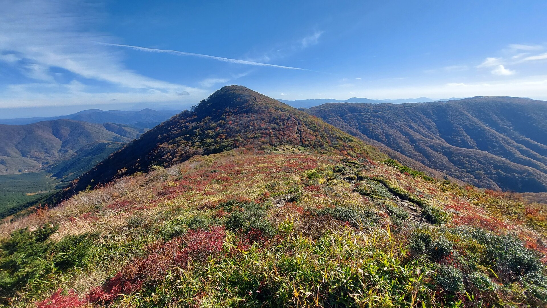 吾妻山 赤黄に彩る草原🍁 / tolucky(^^)さんの比婆山・立烏帽子山・吾妻山の活動データ | YAMAP / ヤマップ