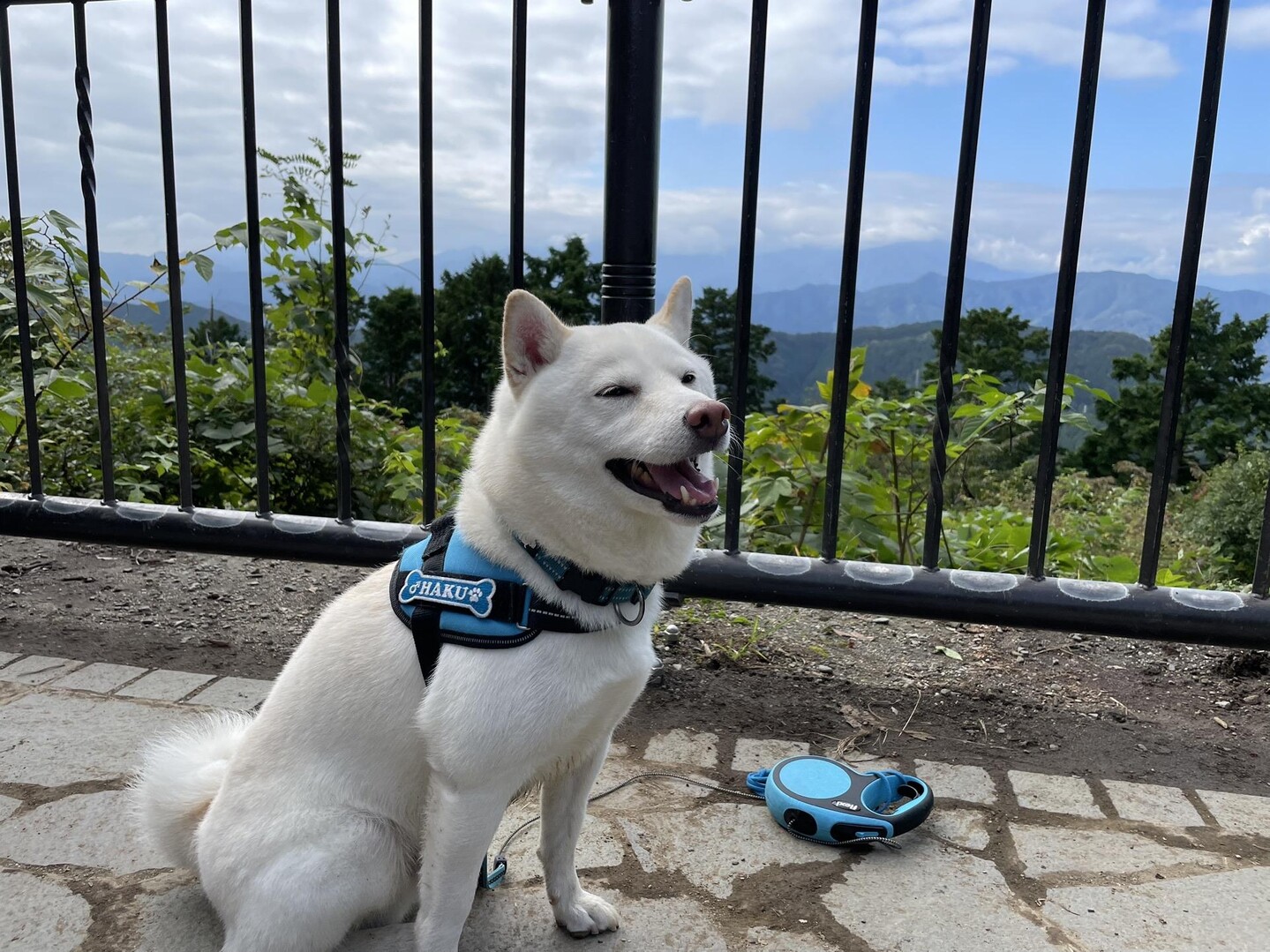 高尾山・稲荷山 / HAKU&NAOさんの高尾山・陣馬山・景信山の活動日記 | YAMAP / ヤマップ