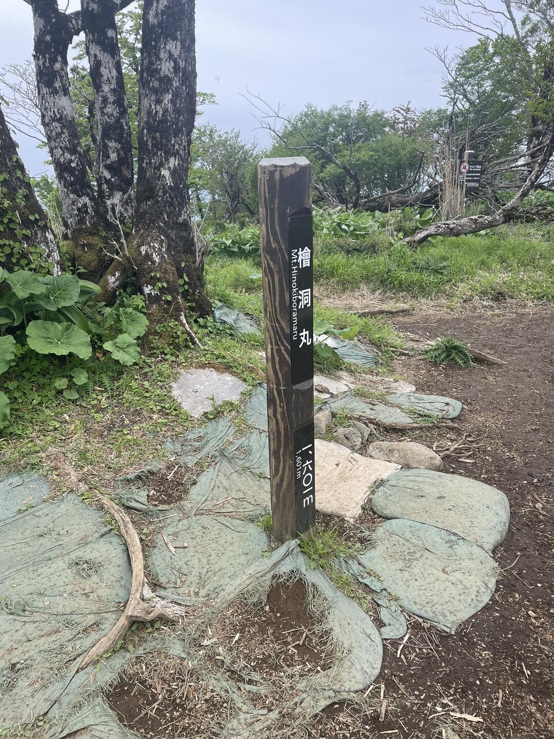 檜洞丸 / Ariさんの大室山・畦ヶ丸山・菰釣山の活動データ | YAMAP / ヤマップ