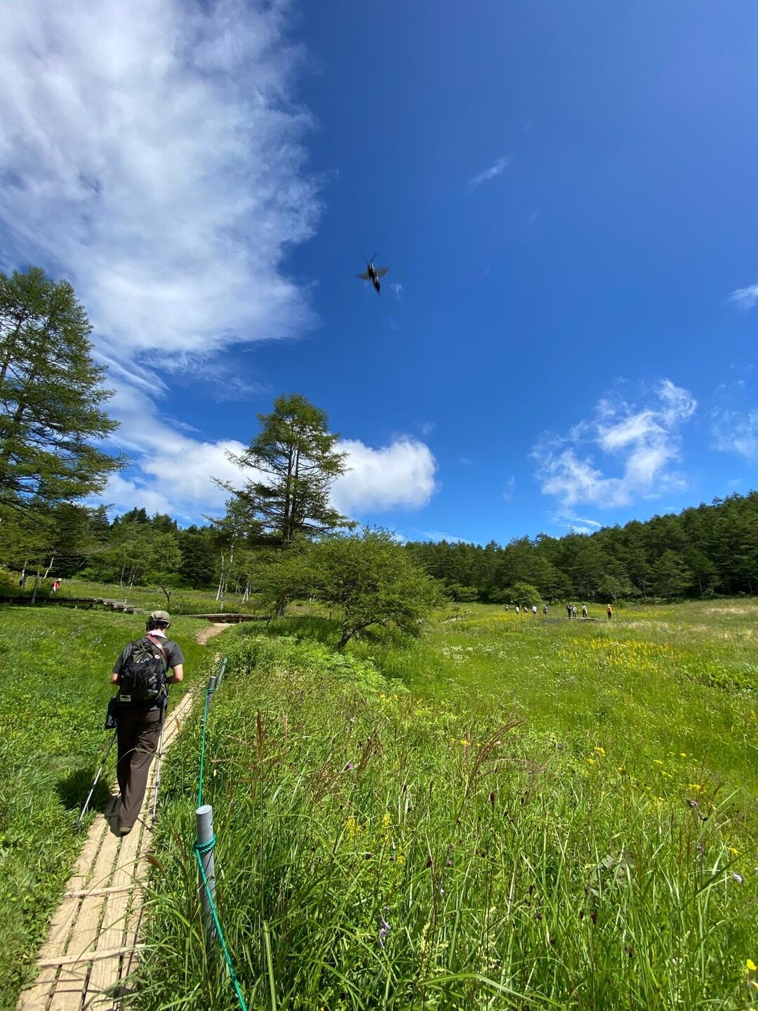 入笠山 / Rikumamiさんの入笠山の活動データ | YAMAP / ヤマップ
