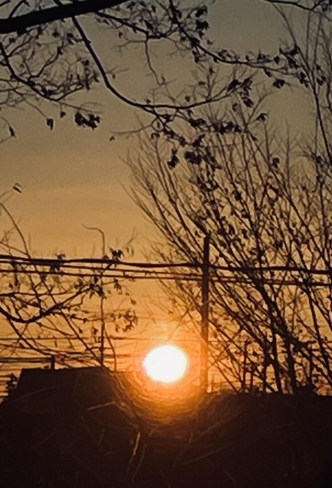 明けましておめでとうございます㊗️ 今年... / ken-3さんのモーメント | YAMAP / ヤマップ