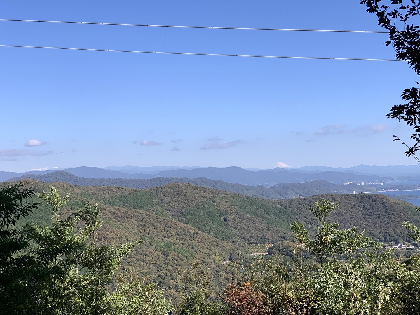 神石山 / naniさんの坊ヶ峰・石巻山・神石山・葦毛湿原の活動データ | YAMAP / ヤマップ