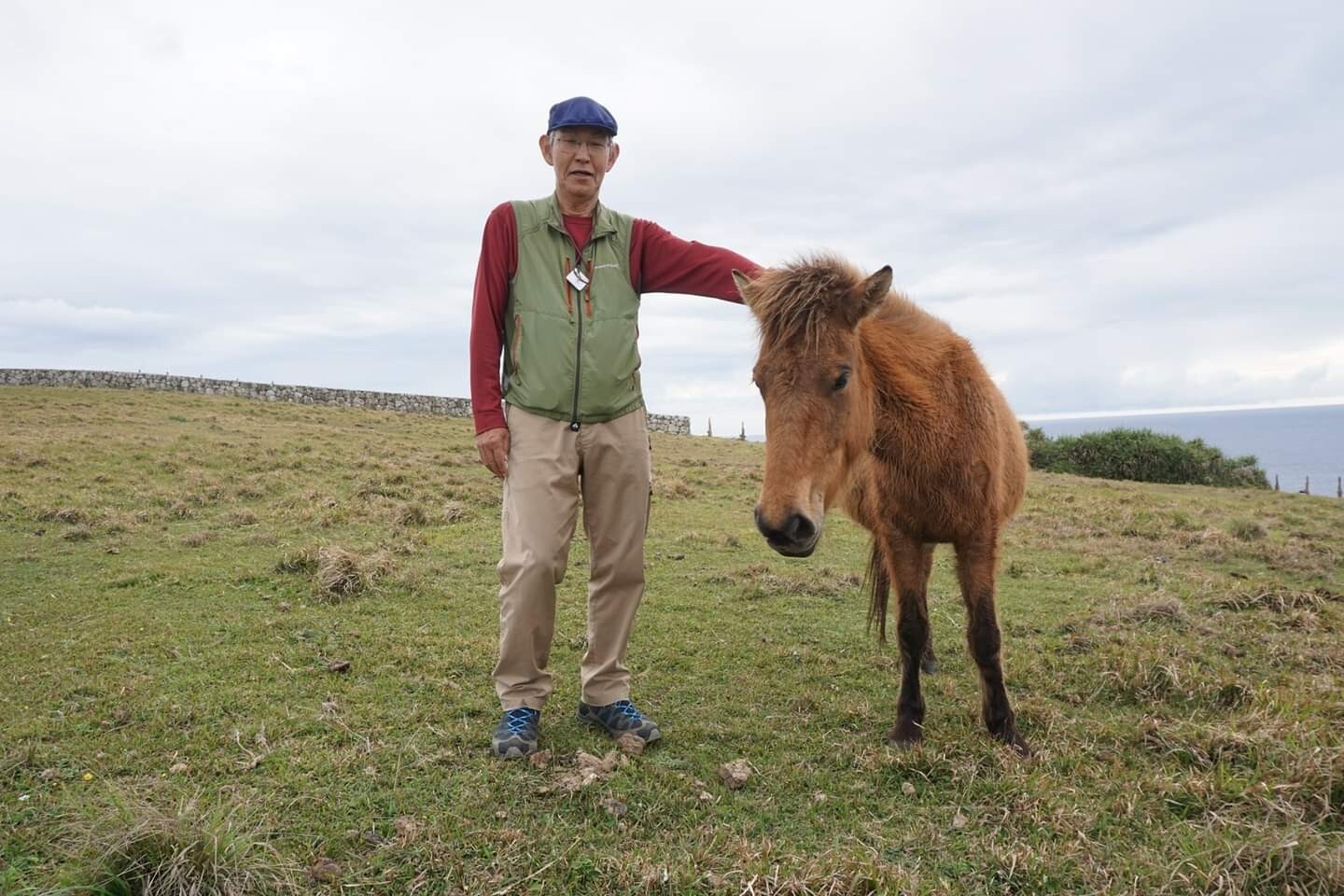 🎵 与那国の馬のたてがみ 撫でる春 悟... / kyoyamaさんのモーメント | YAMAP / ヤマップ