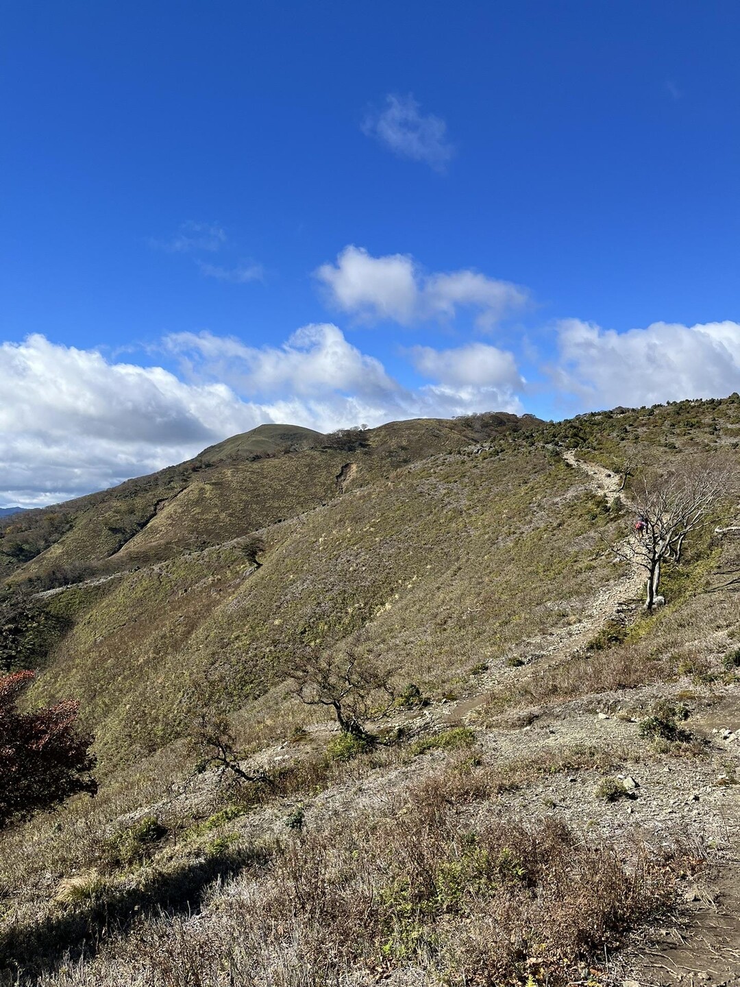 竜ヶ岳 / mamiさんの竜ヶ岳の活動データ | YAMAP / ヤマップ