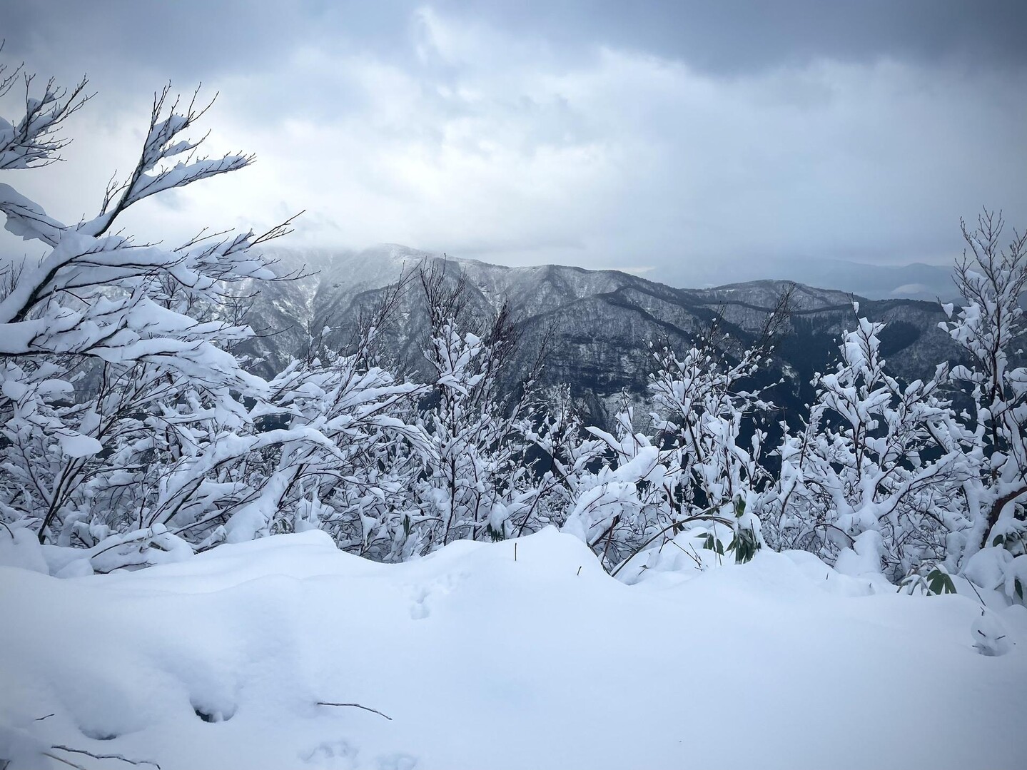 取立山⛄️☁️ / ainknkさんの取立山の活動データ | YAMAP / ヤマップ