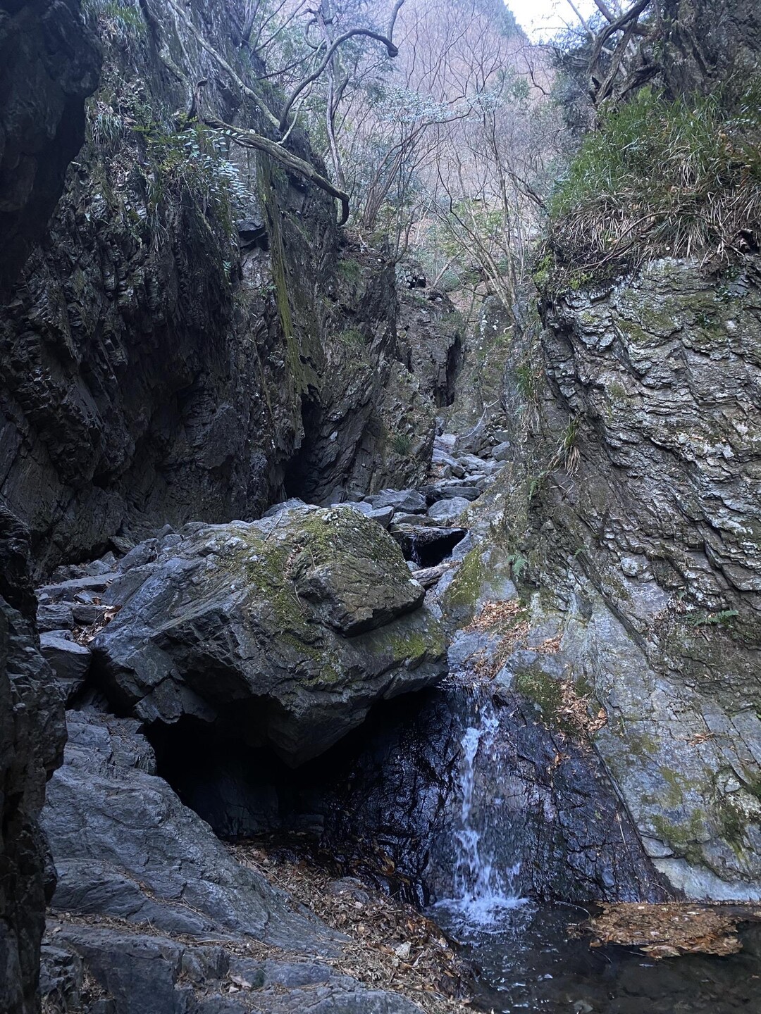 棒ノ嶺（棒ノ折山） / yu!ch!さんの棒ノ折山（棒ノ嶺）の活動データ | YAMAP / ヤマップ