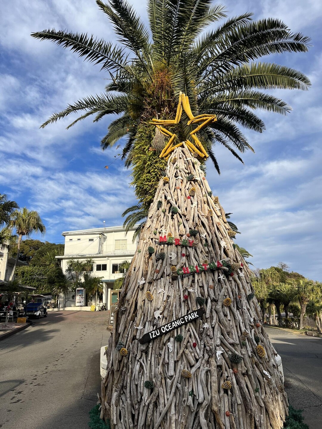 Merry X'mas🎄 久しぶりのお... / underwaterさんのモーメント | YAMAP / ヤマップ