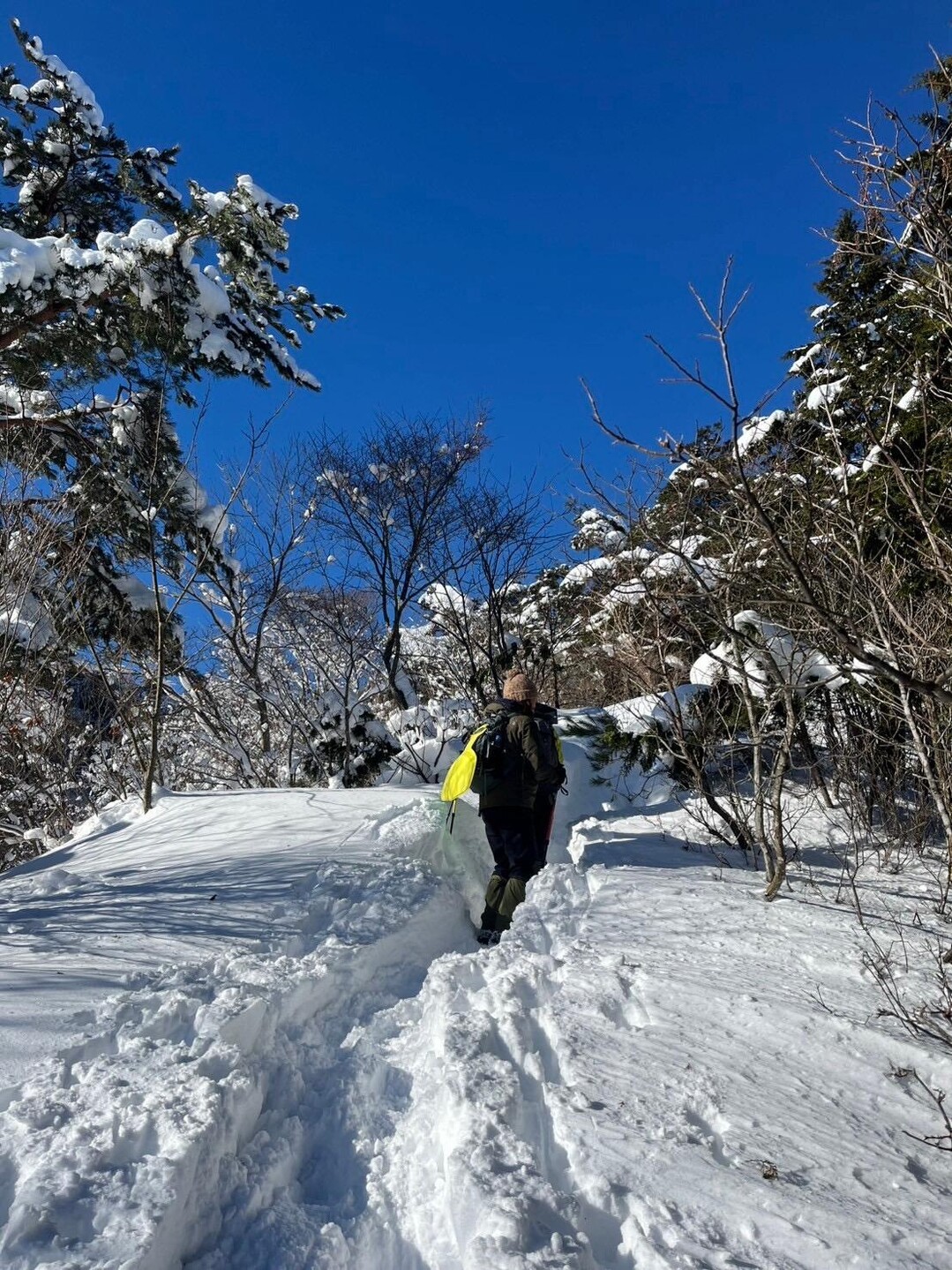 小貝月山・貝月山070118 / mina さんの貝月山の活動データ | YAMAP / ヤマップ