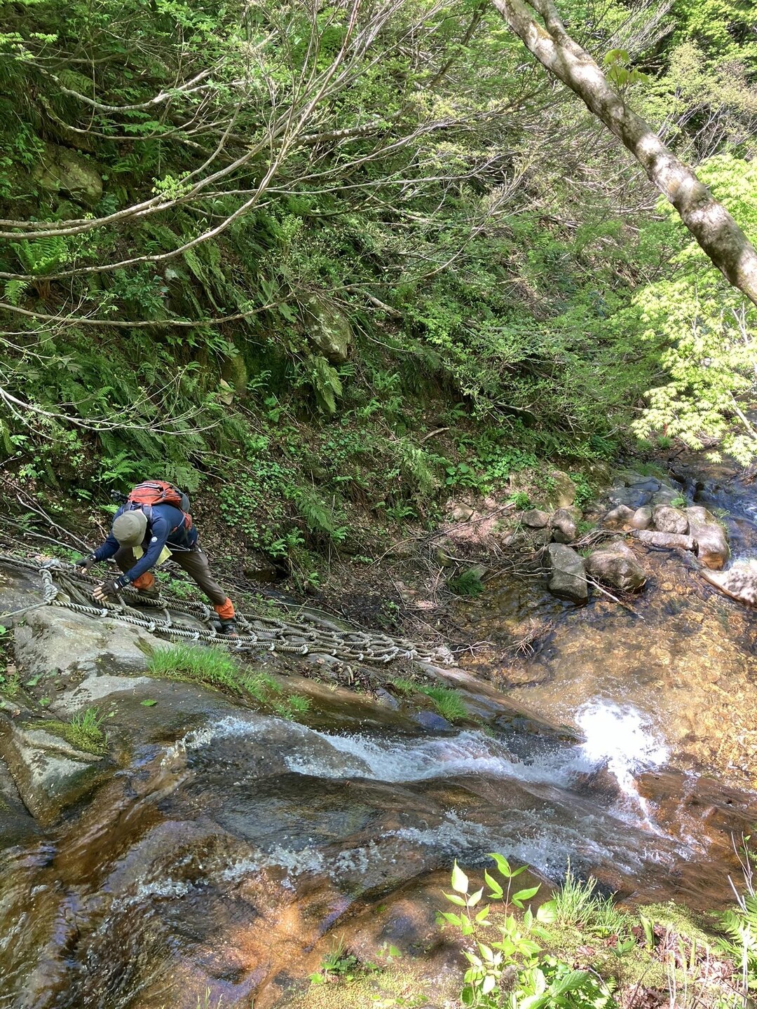 【立山の麓で】大辻山【沢下り】 / A.Kさんの大辻山・高峰山・来拝山の活動データ | YAMAP / ヤマップ