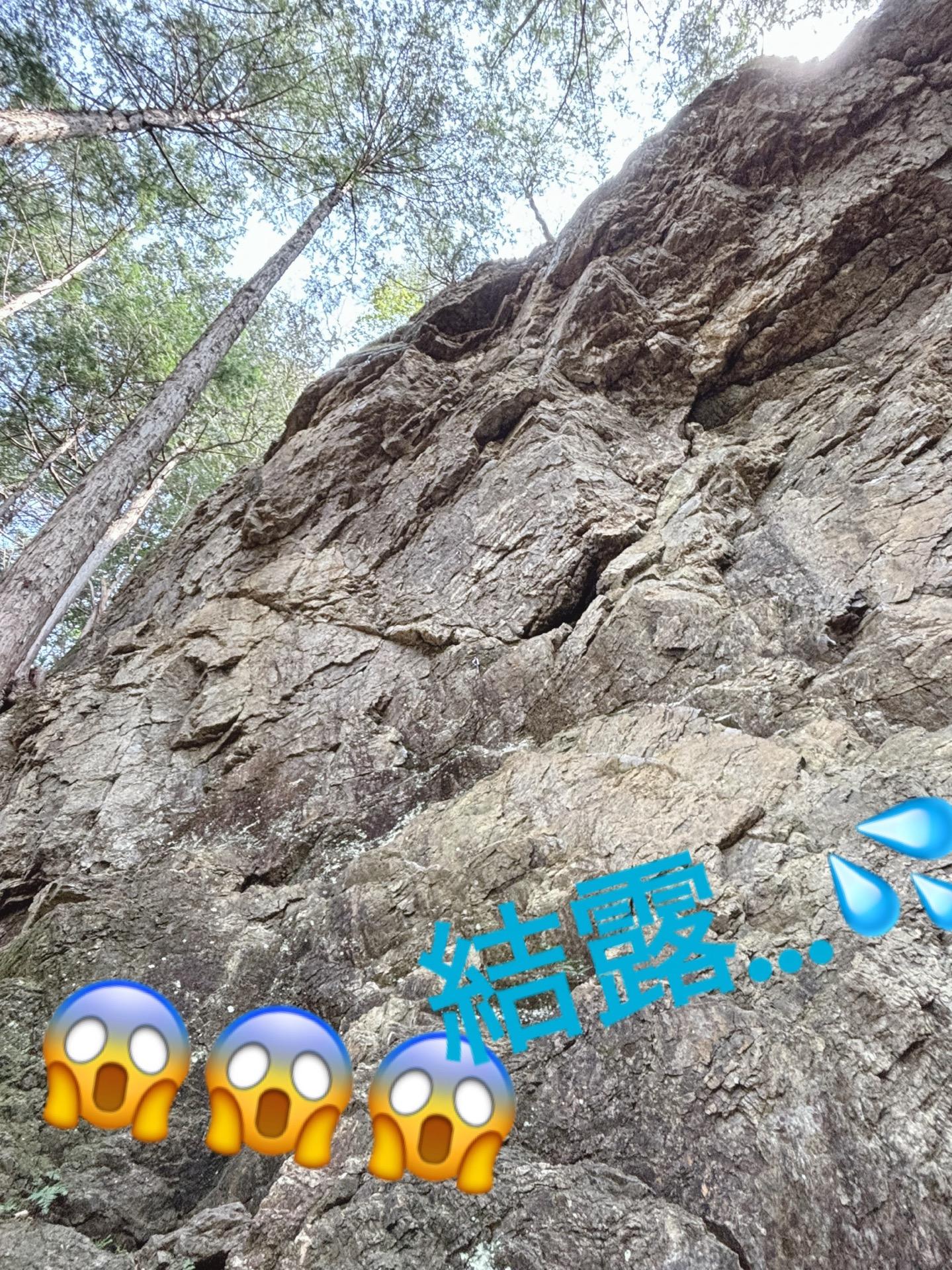 濡れてるやん…😱 / GanjaEX🐕さんの関八州見晴台の活動データ | YAMAP / ヤマップ