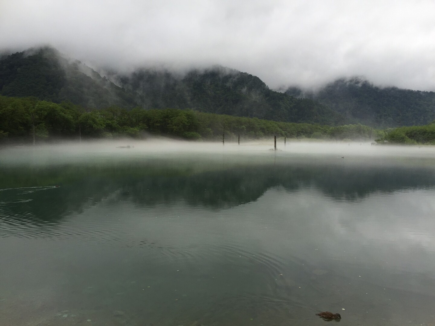 上高地 / tomobuuさんの霞沢岳の活動データ | YAMAP / ヤマップ