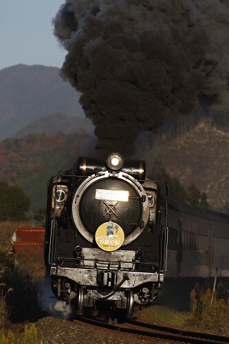 三月ですね(^^;)、そろそろSLやまぐ... / はまさんのモーメント | YAMAP / ヤマップ