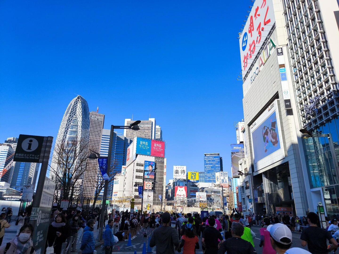 新宿シティハーフマラソン / odanさんのランニングの活動データ | YAMAP / ヤマップ