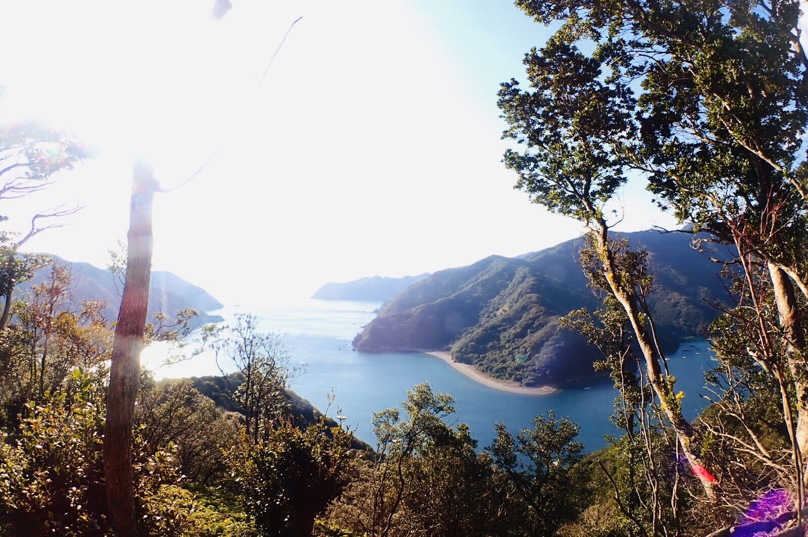 絶景👀☀️〜有地山・オロチ山 / Cheさんの南伊勢町の活動データ | YAMAP / ヤマップ