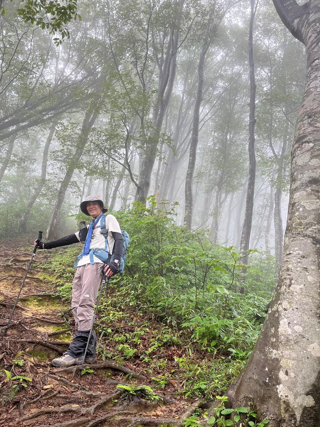 富士写ヶ岳 / TARUMIさんの富士写ヶ岳・小倉谷山・火燈山の活動データ | YAMAP / ヤマップ