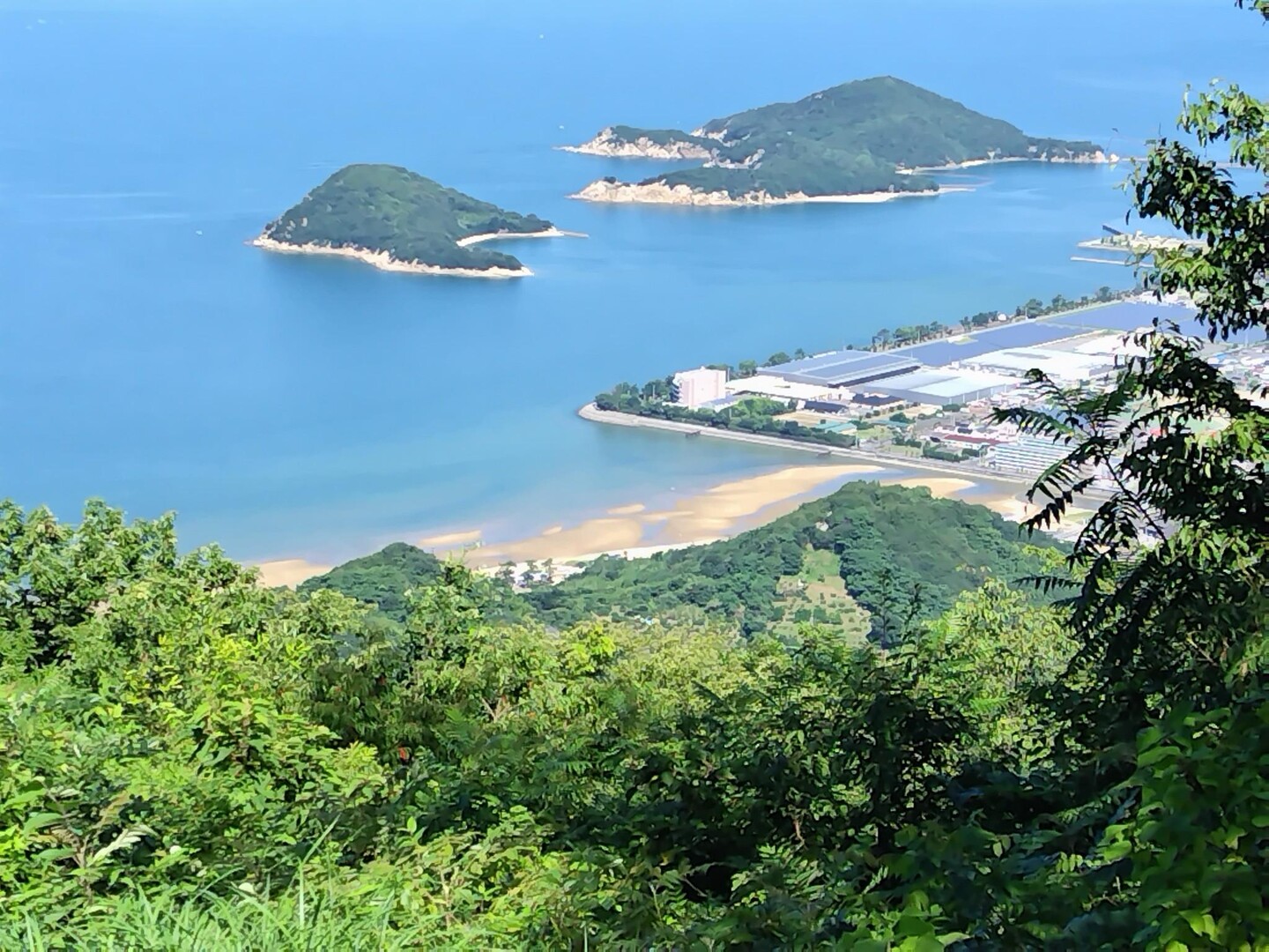 真山・志保山東峰・志保山・七宝山・つず（七宝山系最高地） / 96かずさんの稲積山・志保山・七宝山の活動日記 | YAMAP / ヤマップ