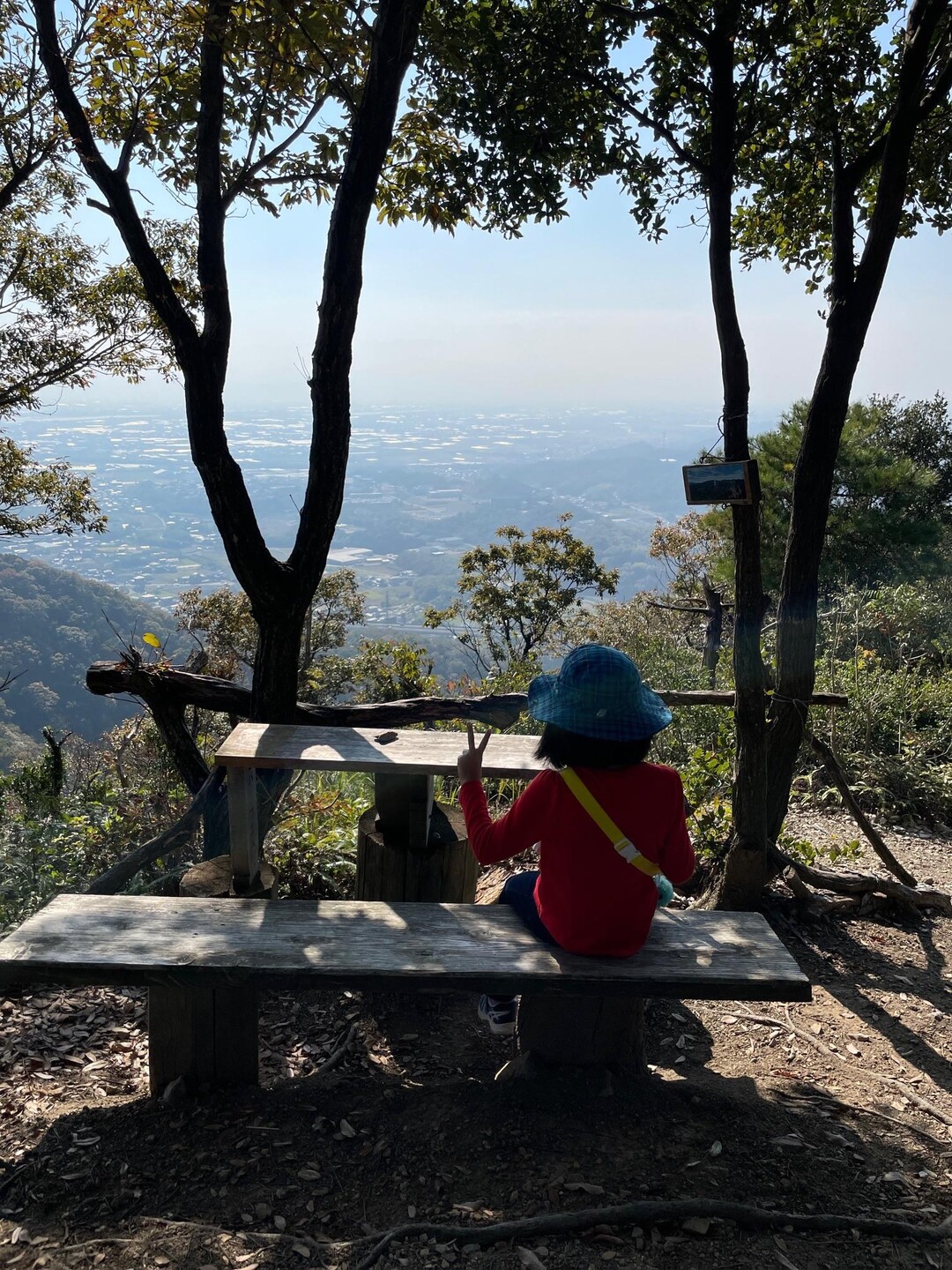 高尾山（徳島県板野郡）with孫 / ☆taemon☆さんの高尾山の活動データ | YAMAP / ヤマップ