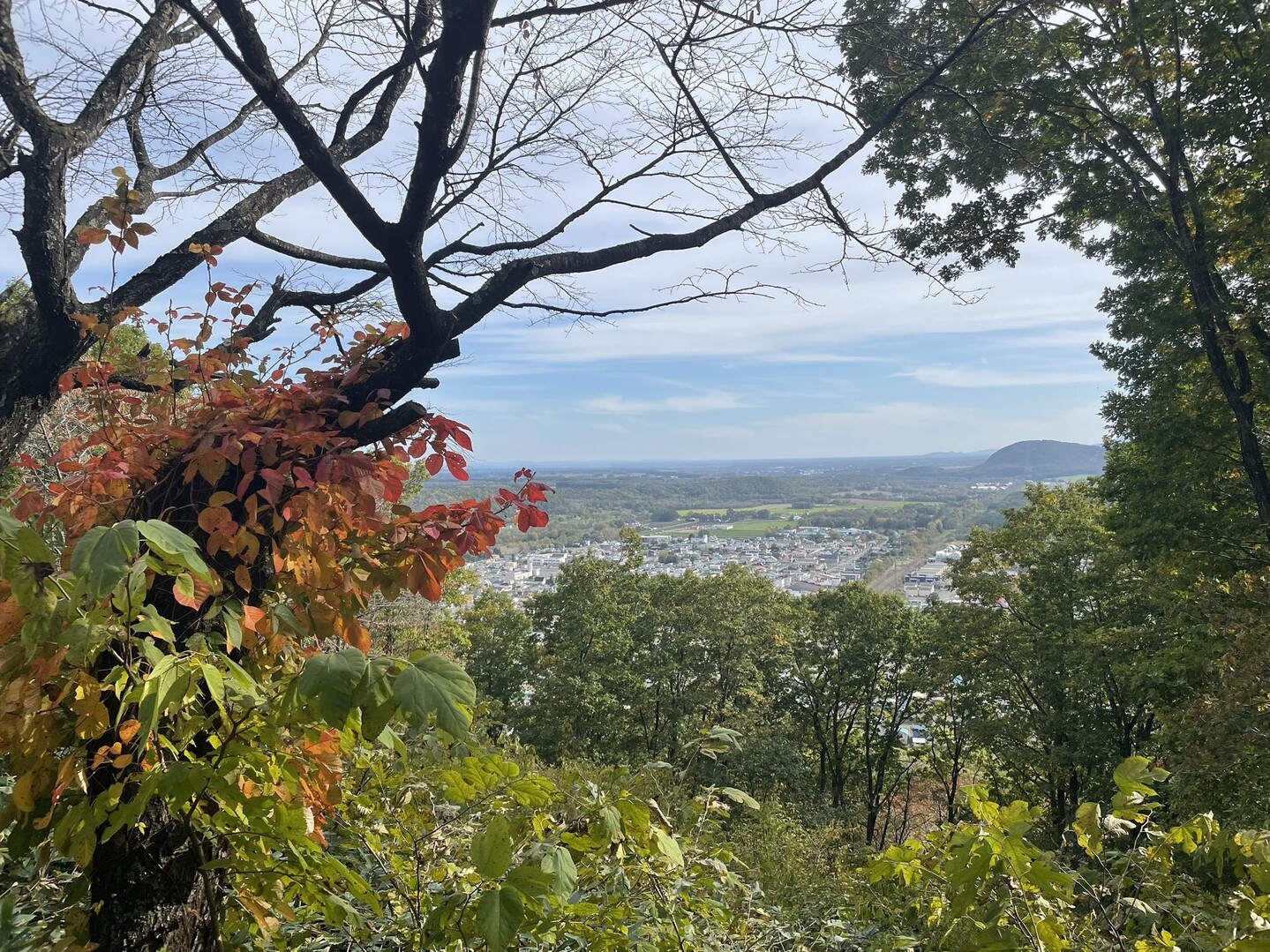 新得山 / Benさんの新得山の活動データ | YAMAP / ヤマップ
