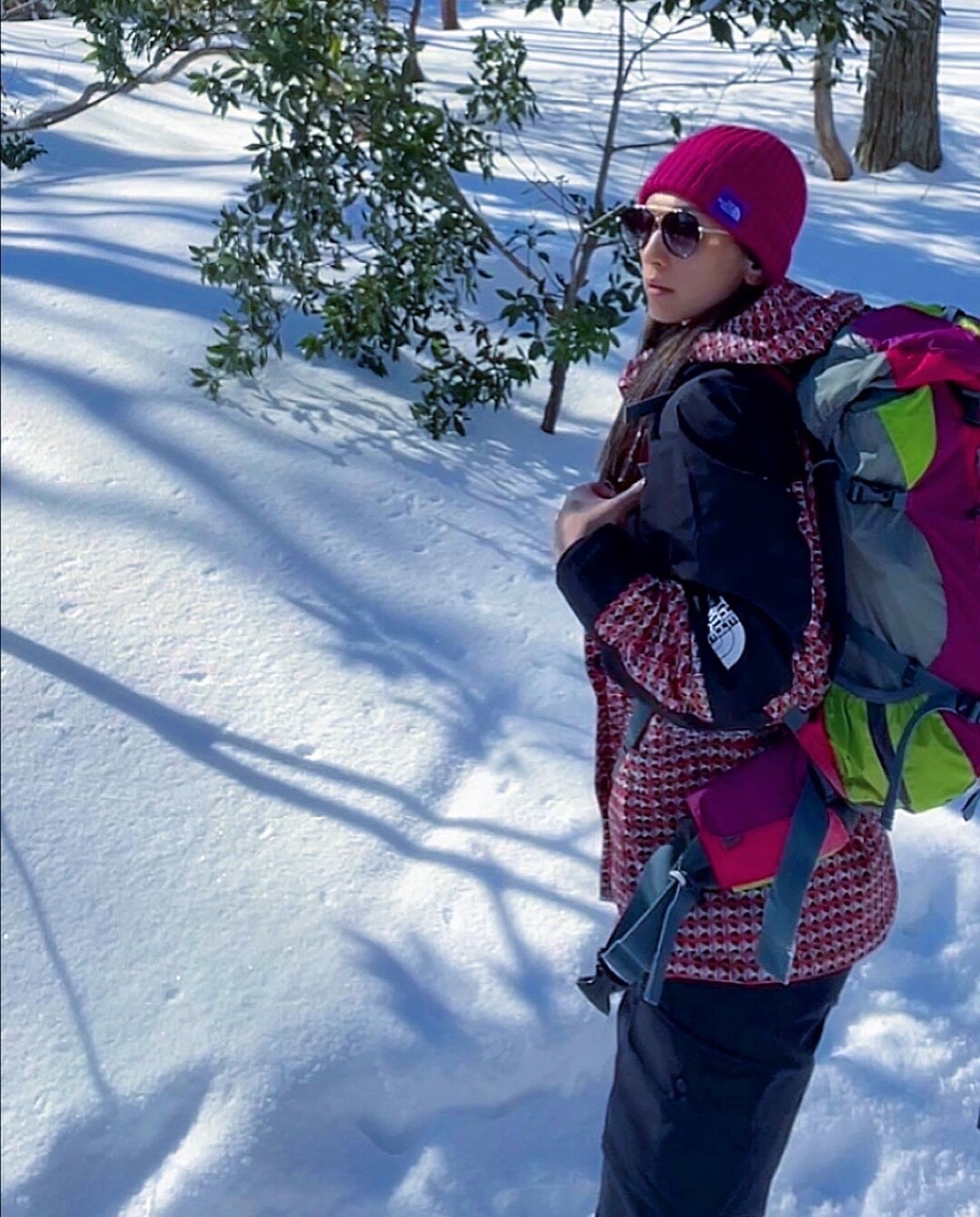 藤原岳 / hiroko🐈さんの藤原岳・御池岳の活動データ | YAMAP / ヤマップ