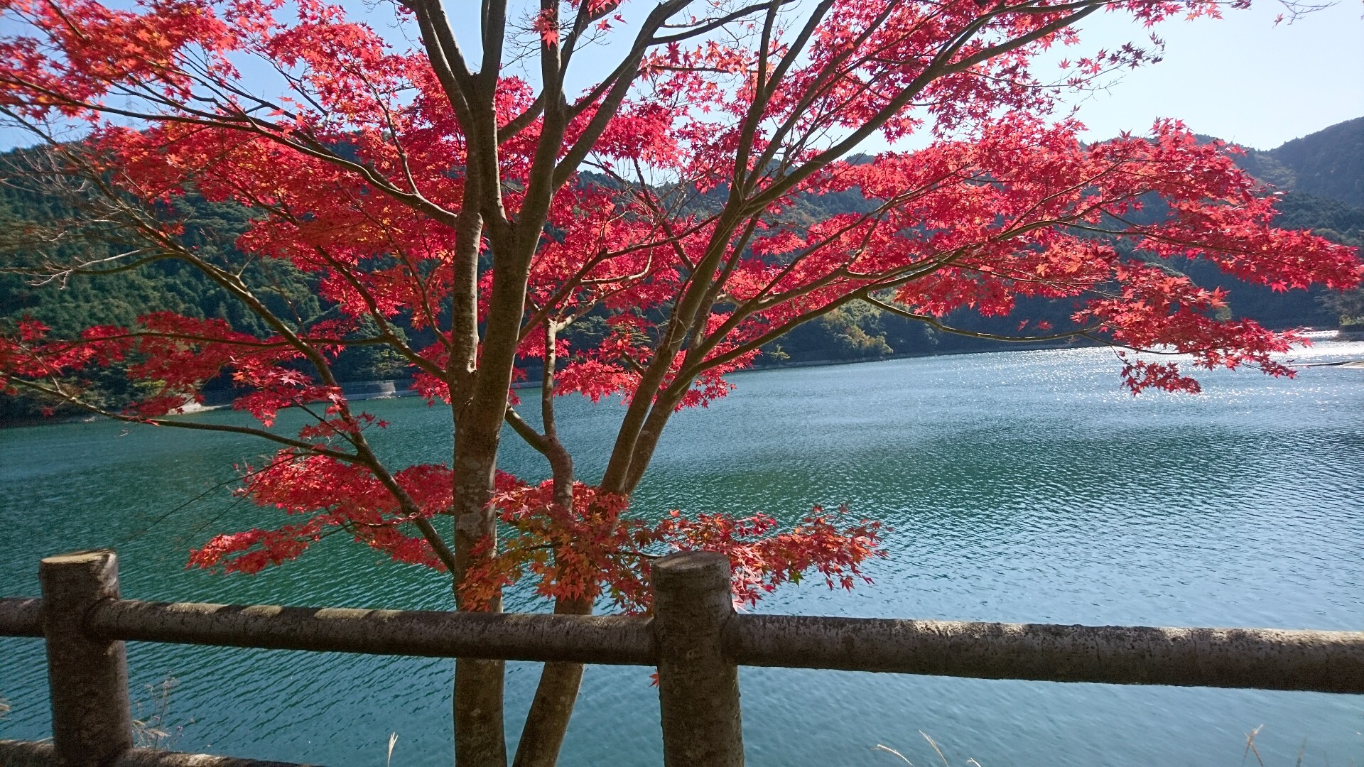 皿倉山・河内・権現山周回2P / 若三ちゃんさんの皿倉山・花尾山・帆柱山の活動データ | YAMAP / ヤマップ