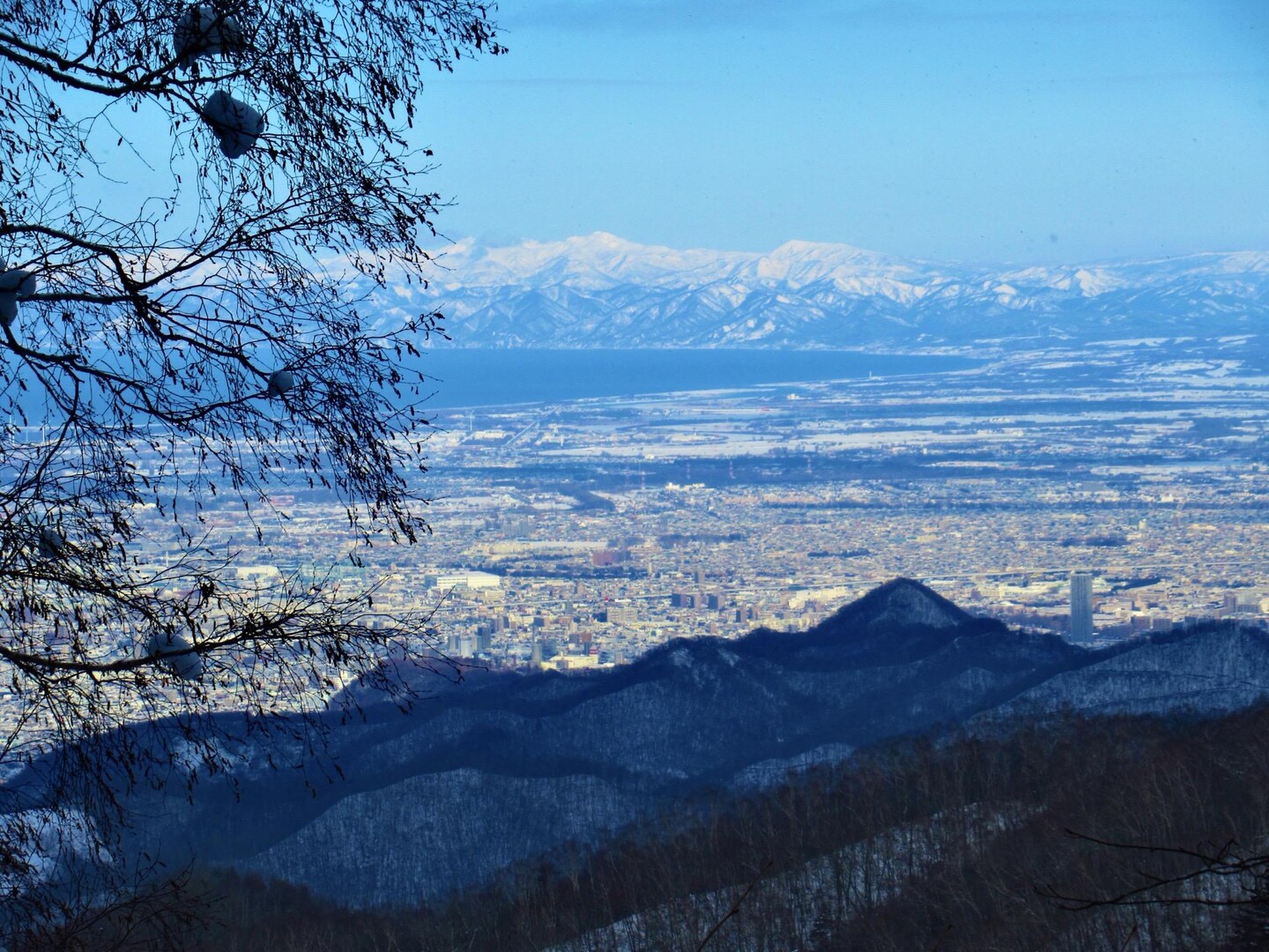 不香の花咲きて ️盤渓山〜砥石山 / MINTさんの砥石山・青山の活動データ | YAMAP / ヤマップ