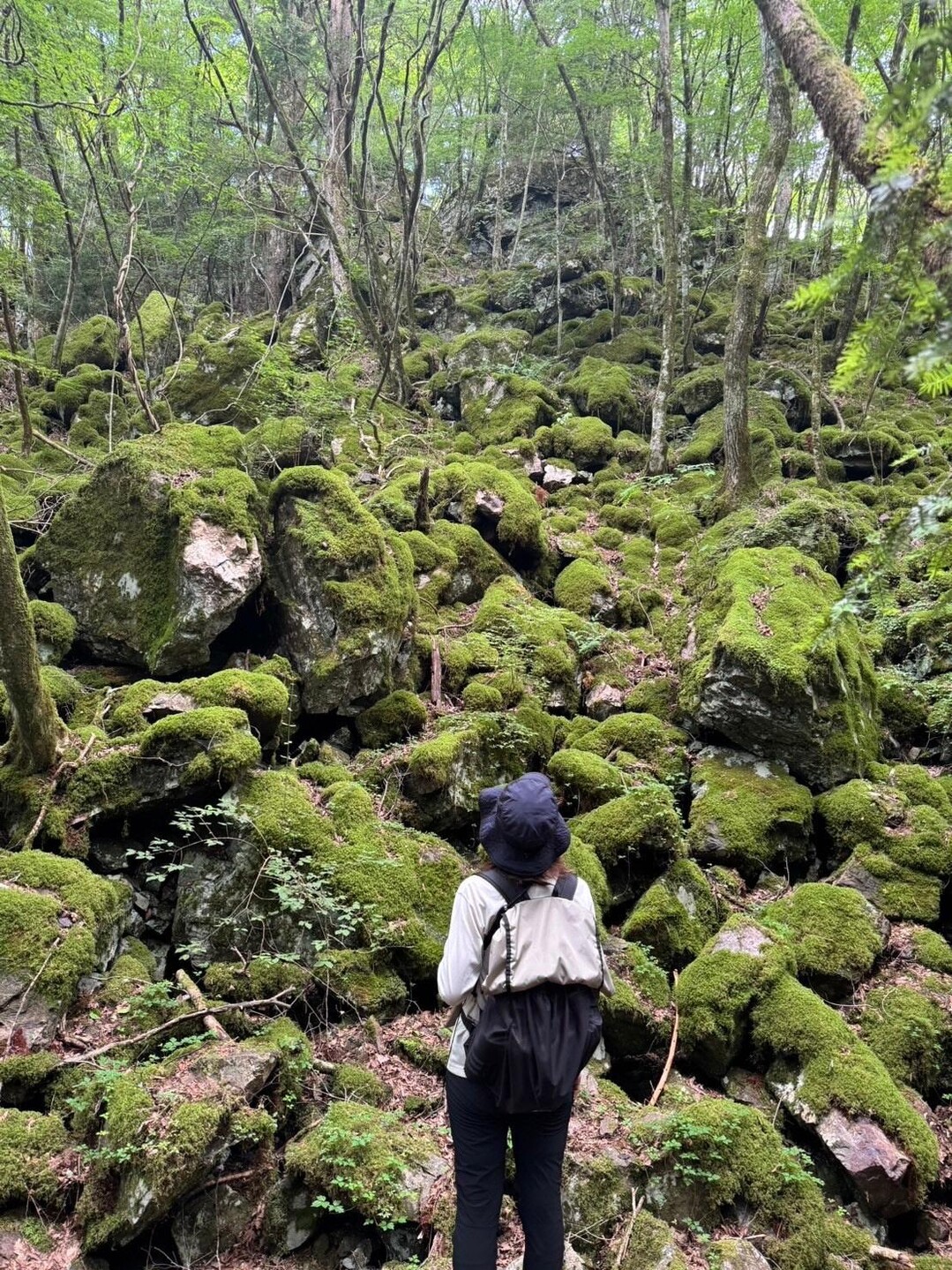 山犬獄・西峰 / ariさんの山犬嶽の活動データ | YAMAP / ヤマップ