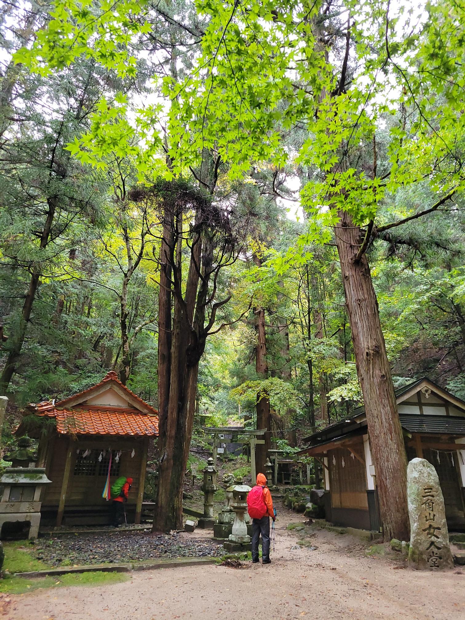 念願の三角山⛰️用瀬アルプス / shigeyoさんのウォーキングの活動データ | YAMAP / ヤマップ
