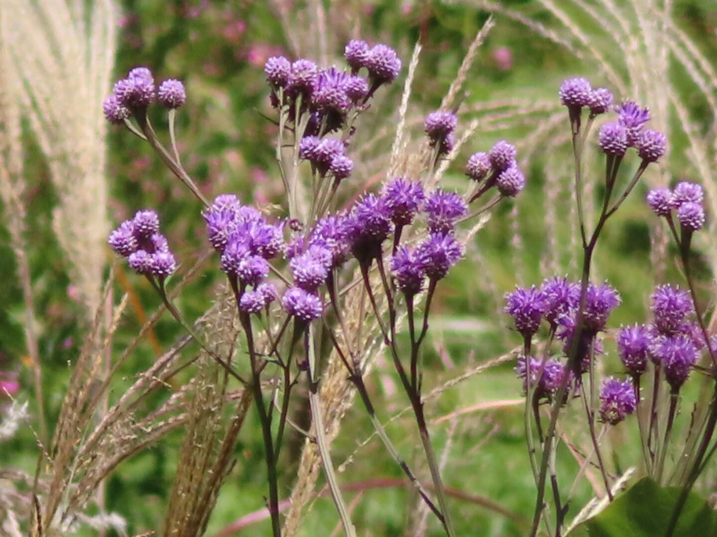林道を歩く / akkoさんの佐世保市（中央エリア）の活動データ | YAMAP / ヤマップ