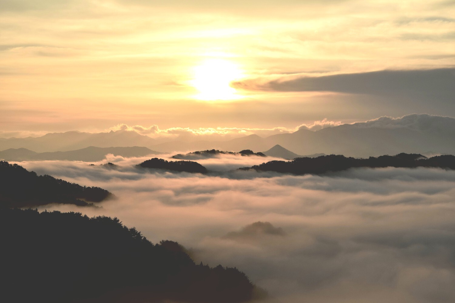 過去pic この写真は雲海を撮りに行... / ⛅Nori-jiさんのモーメント | YAMAP / ヤマップ