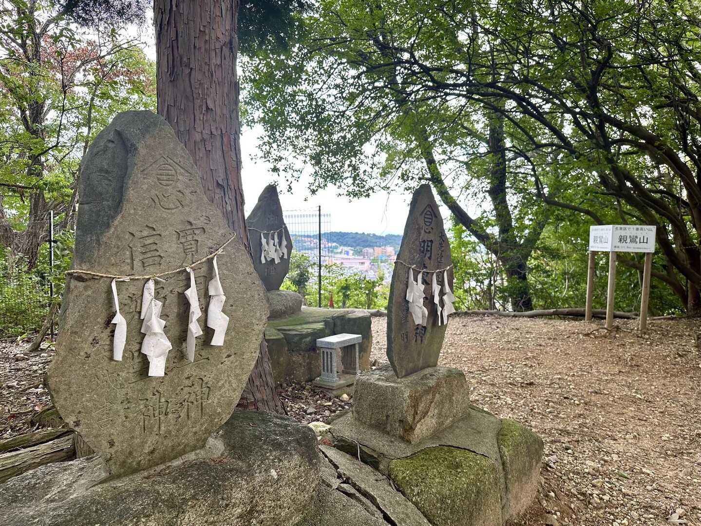 猪高緑地 低山縦走 / Maggioさんの根岳・親鸞山の活動データ | YAMAP / ヤマップ