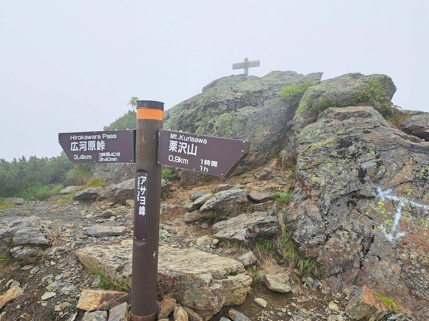 栗沢山・アサヨ峰 / Daisuke＠7/14 OSJ ONTAKE100kmさんの甲斐駒ヶ岳・日向山の活動データ | YAMAP / ヤマップ