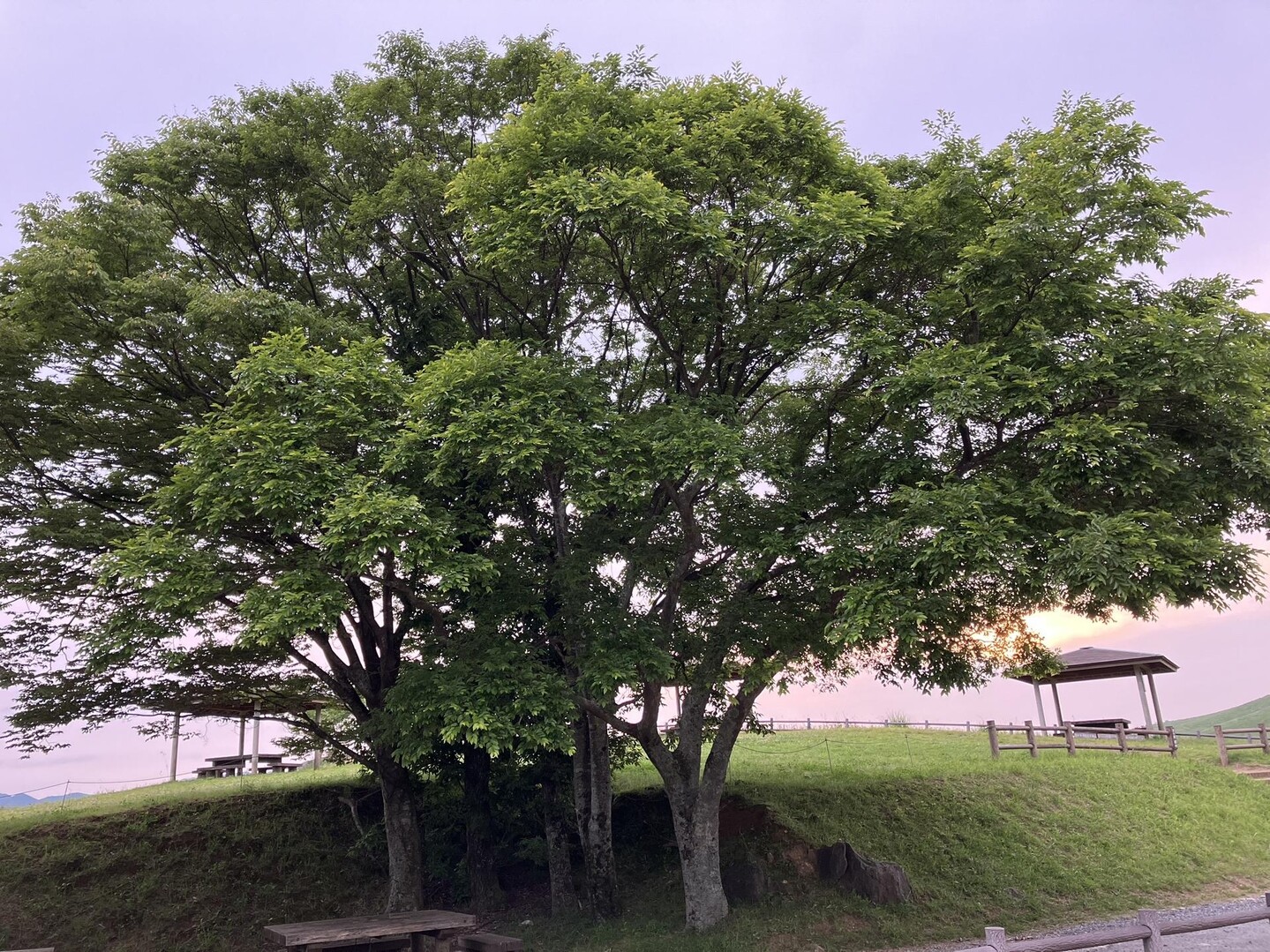 Happy time🩷 / ちゃろみ🐈💕さんの平尾台・貫山・水晶山の活動日記 | YAMAP / ヤマップ