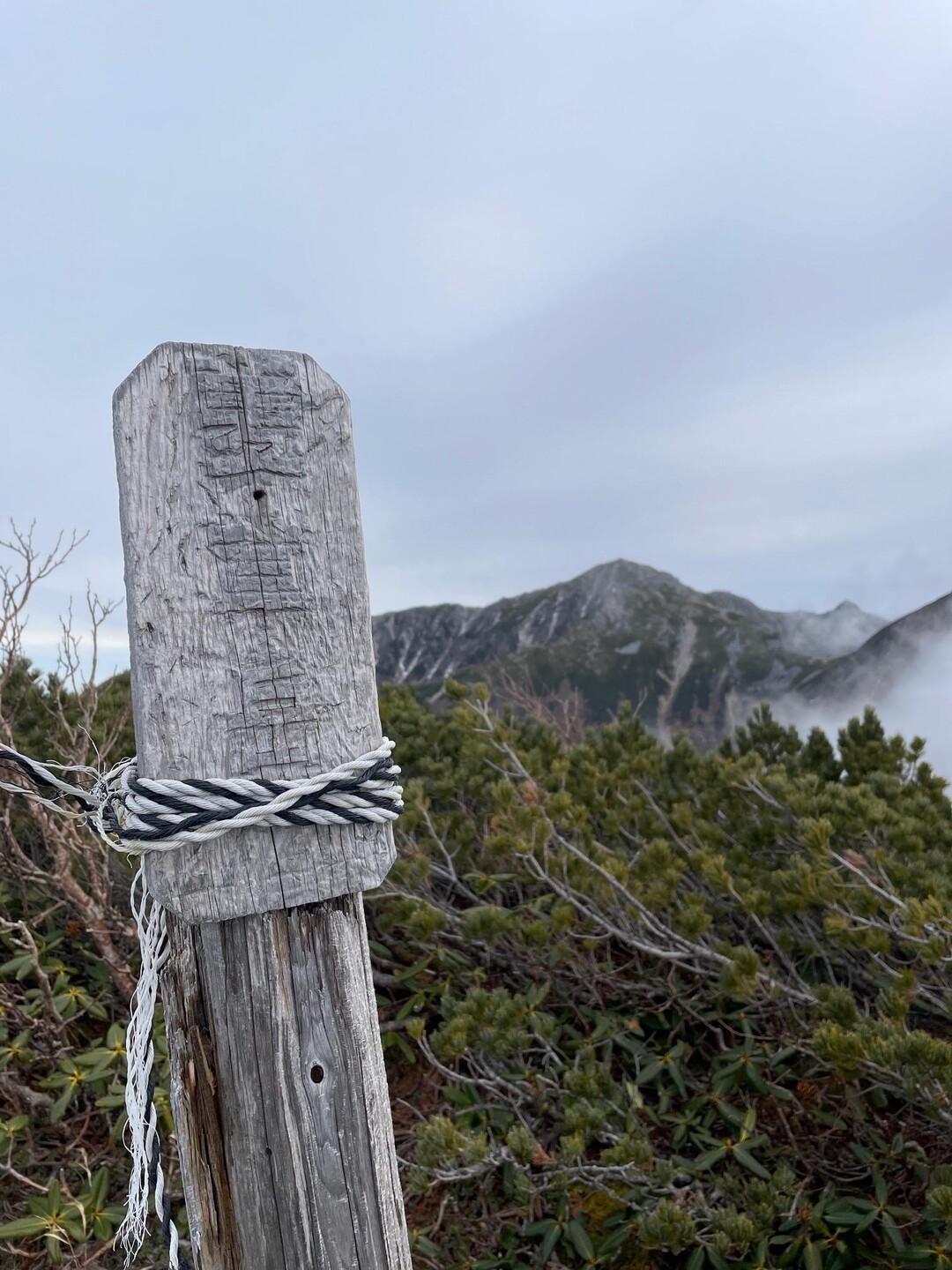麦草岳 / golfbakaさんの木曽駒ヶ岳・空木岳・越百山の活動データ | YAMAP / ヤマップ