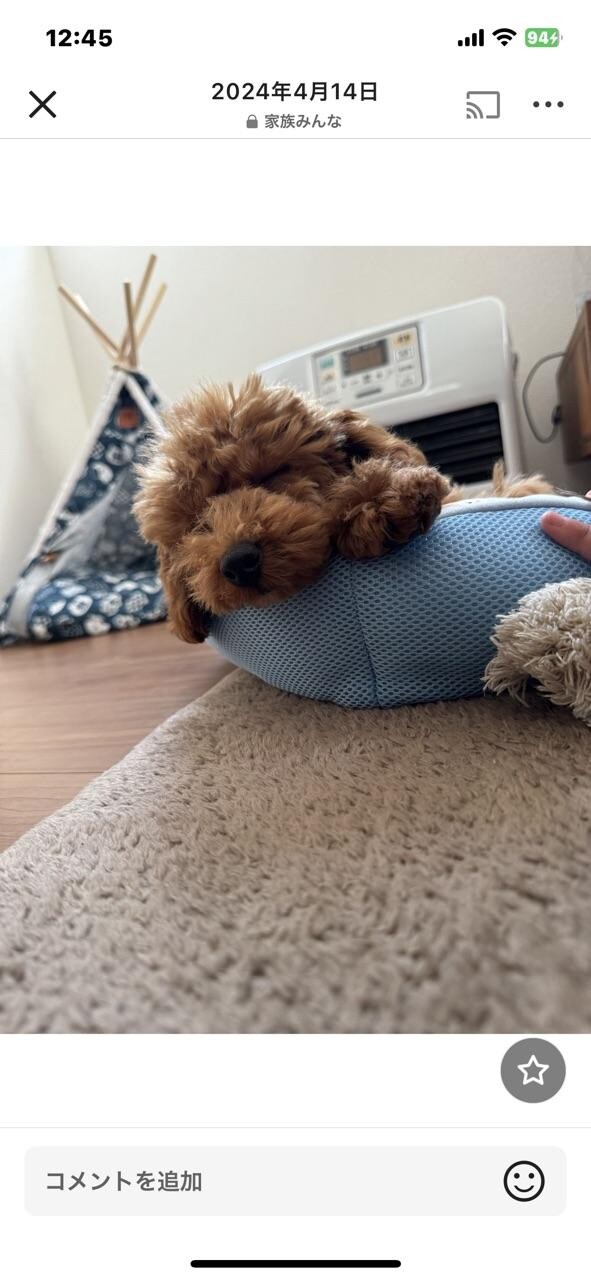 etsukoのページ | YAMAP / ヤマップ