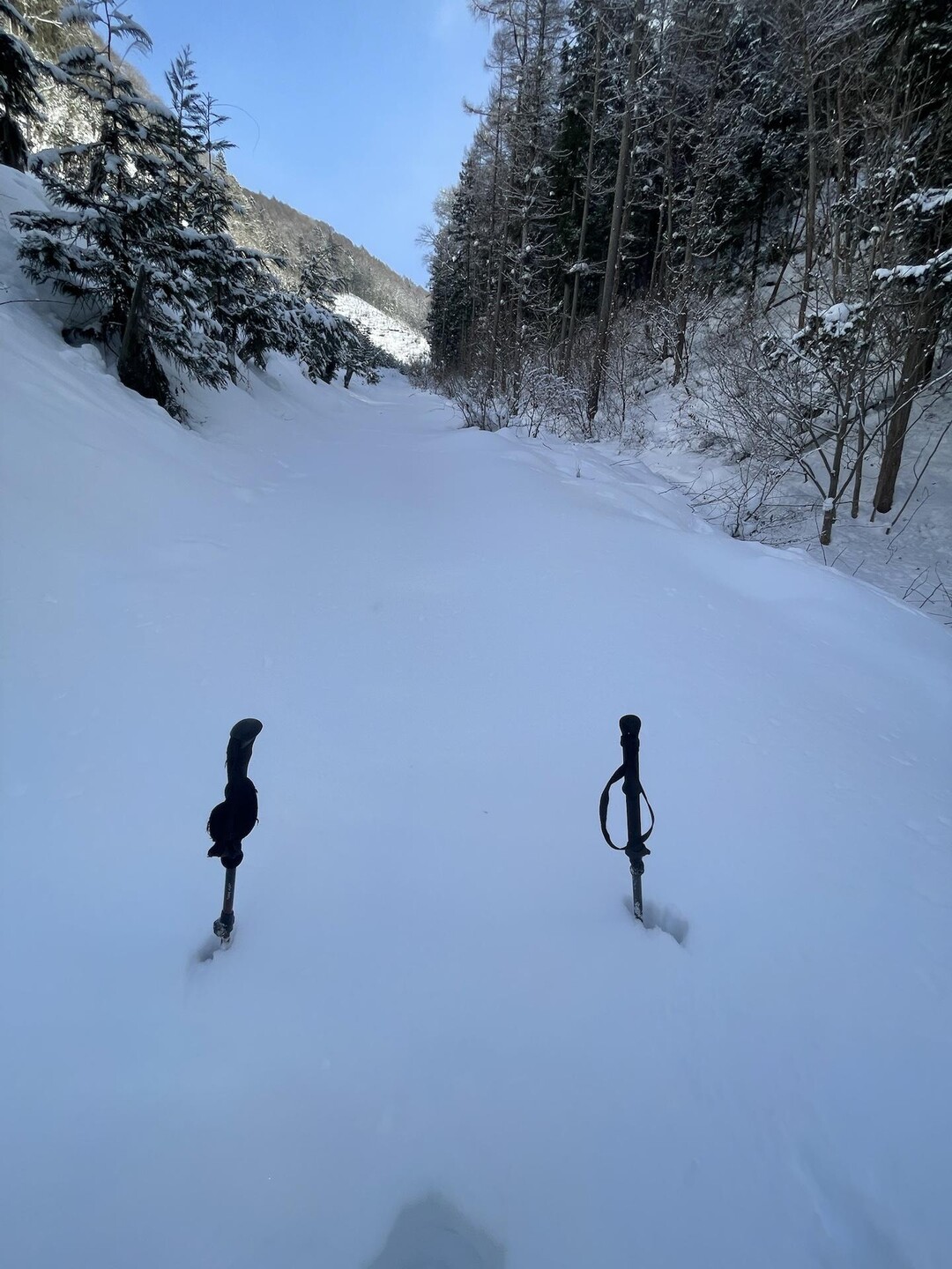 鉱石山 / TAKさんの鉱石山・木賊山の活動データ | YAMAP / ヤマップ