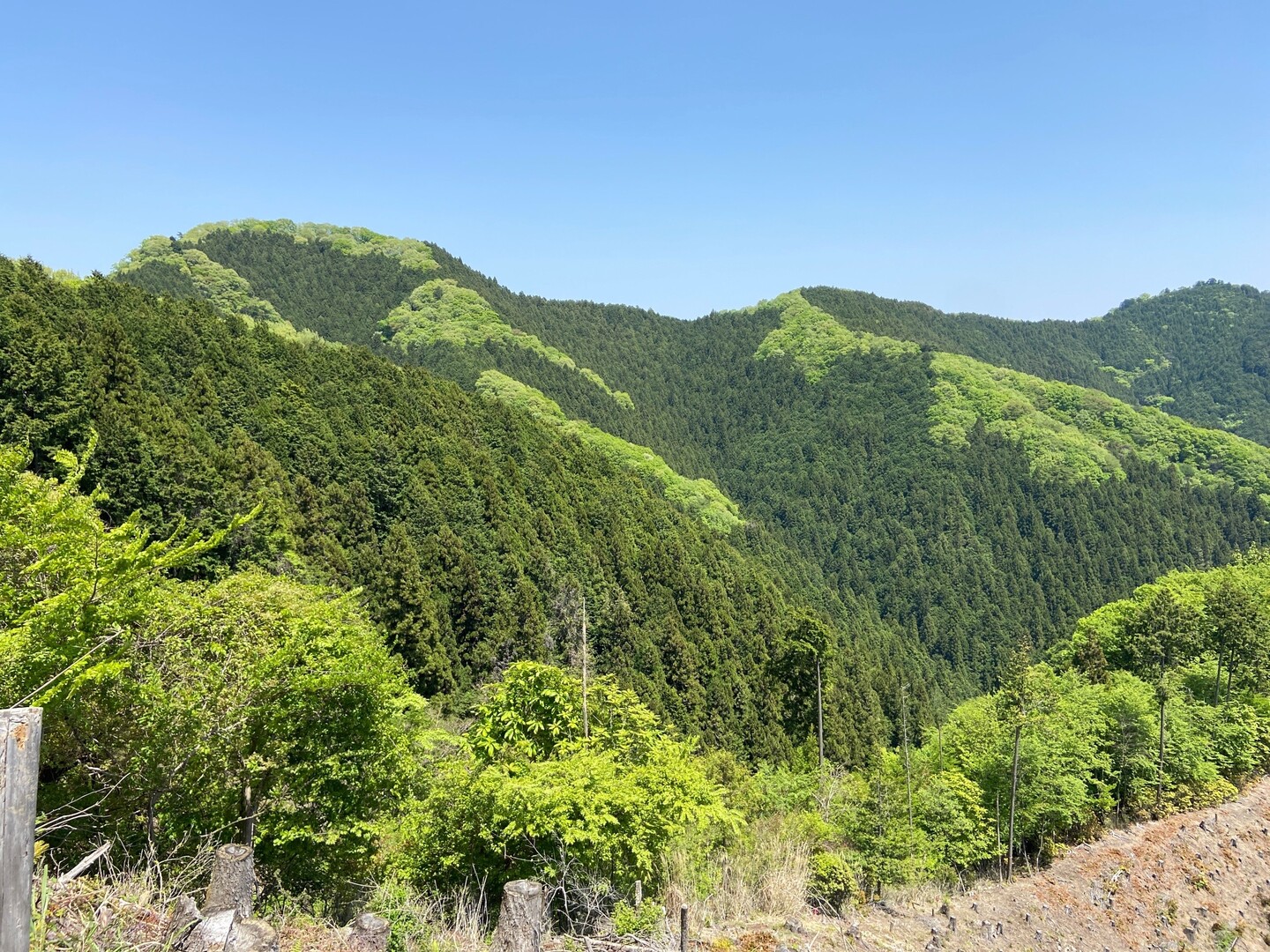 高水三山（奥多摩連山） / kazu-bayさんの高水山・岩茸石山・惣岳山の活動データ | YAMAP / ヤマップ