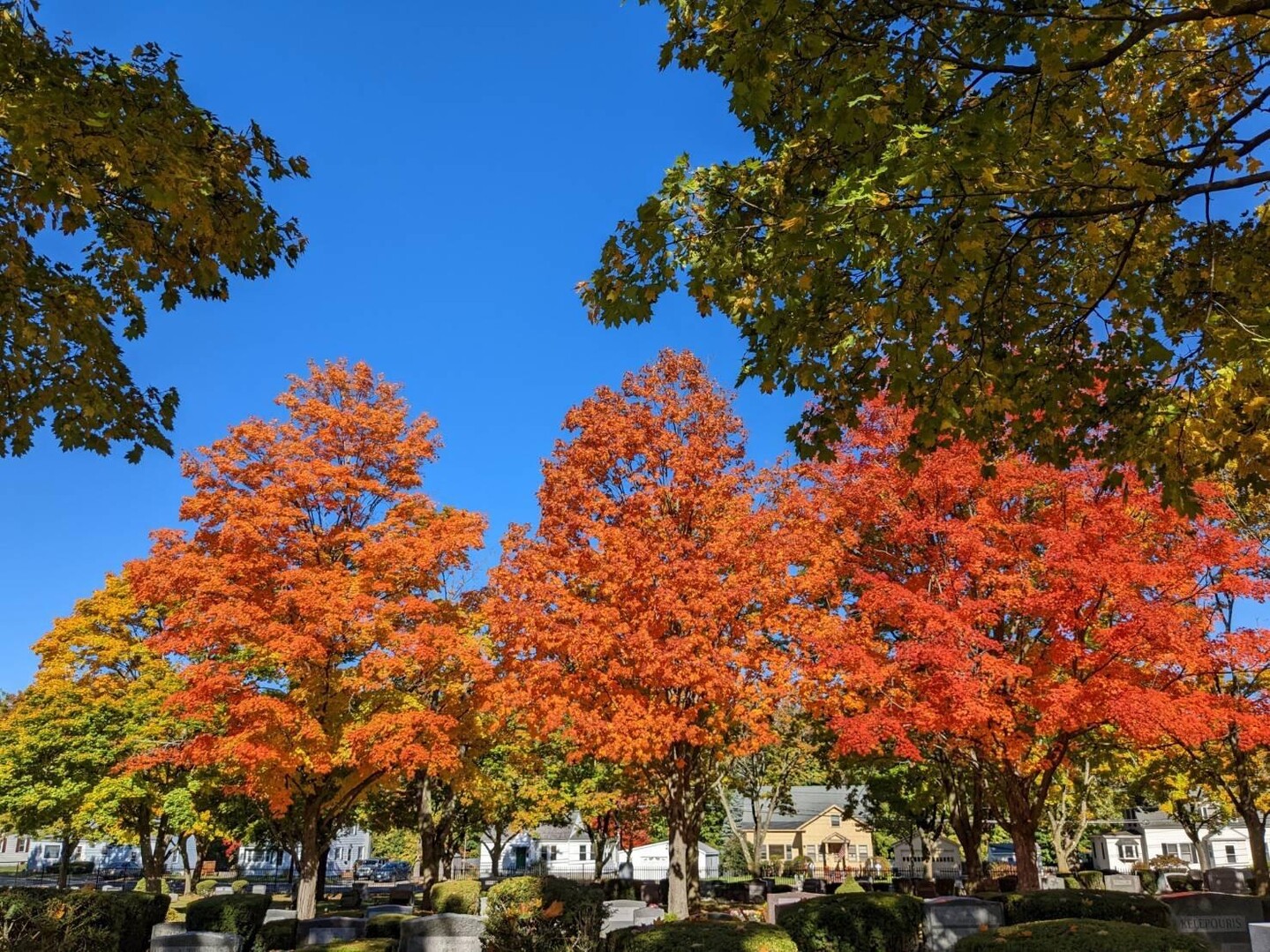 姉貴からLINE…ニューハンプシャー州は... / タカさんのモーメント | YAMAP / ヤマップ